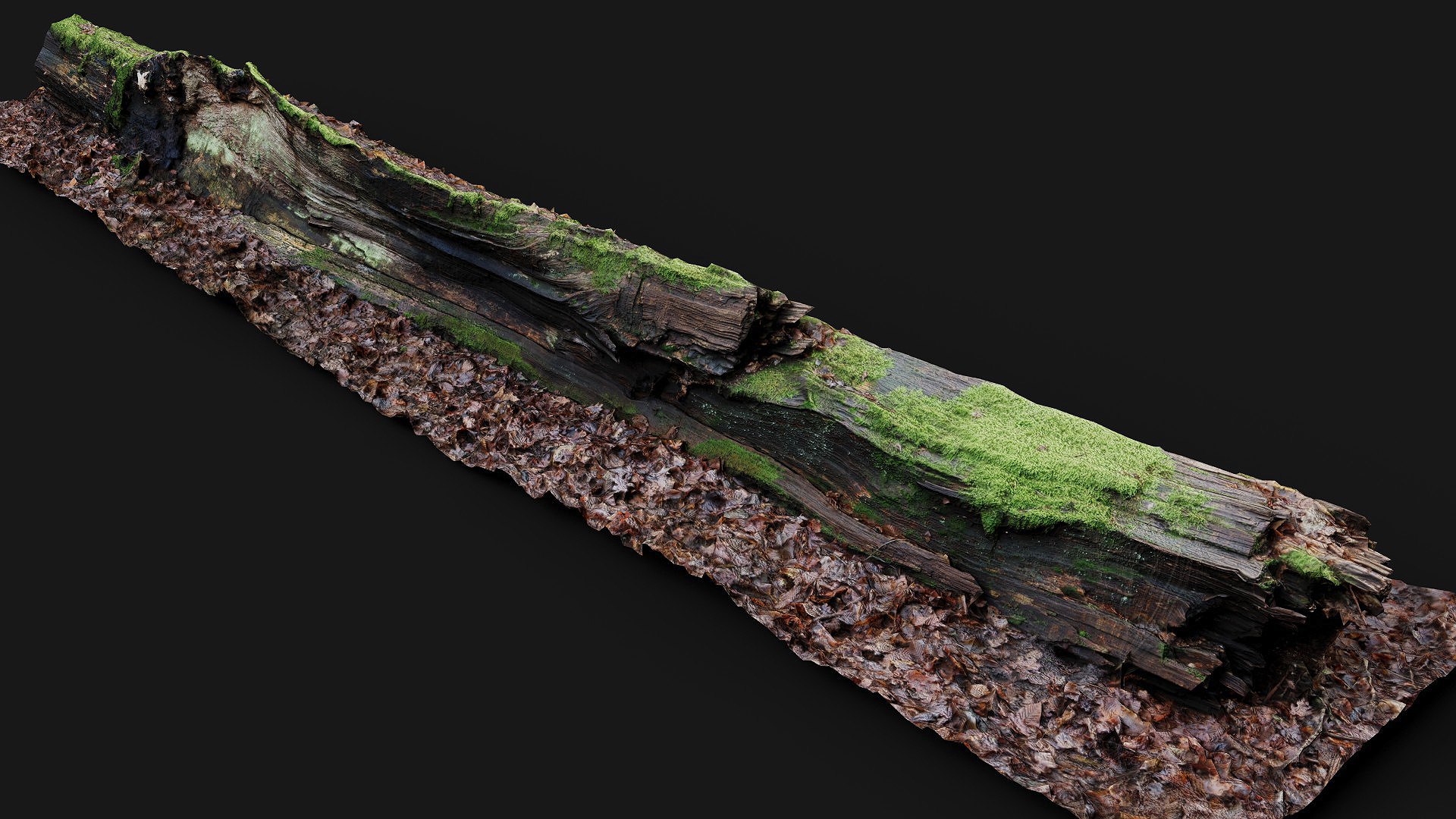 Forest Ground Mossy Tree Trunk Debris Pt10 Photogrammetry Model ...