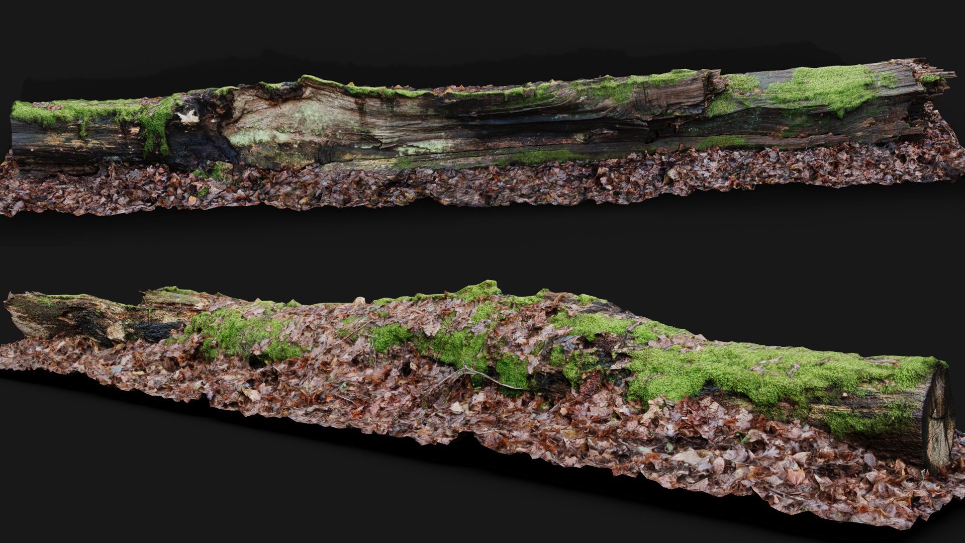Forest Ground Mossy Tree Trunk Debris Pt10 Photogrammetry Model ...