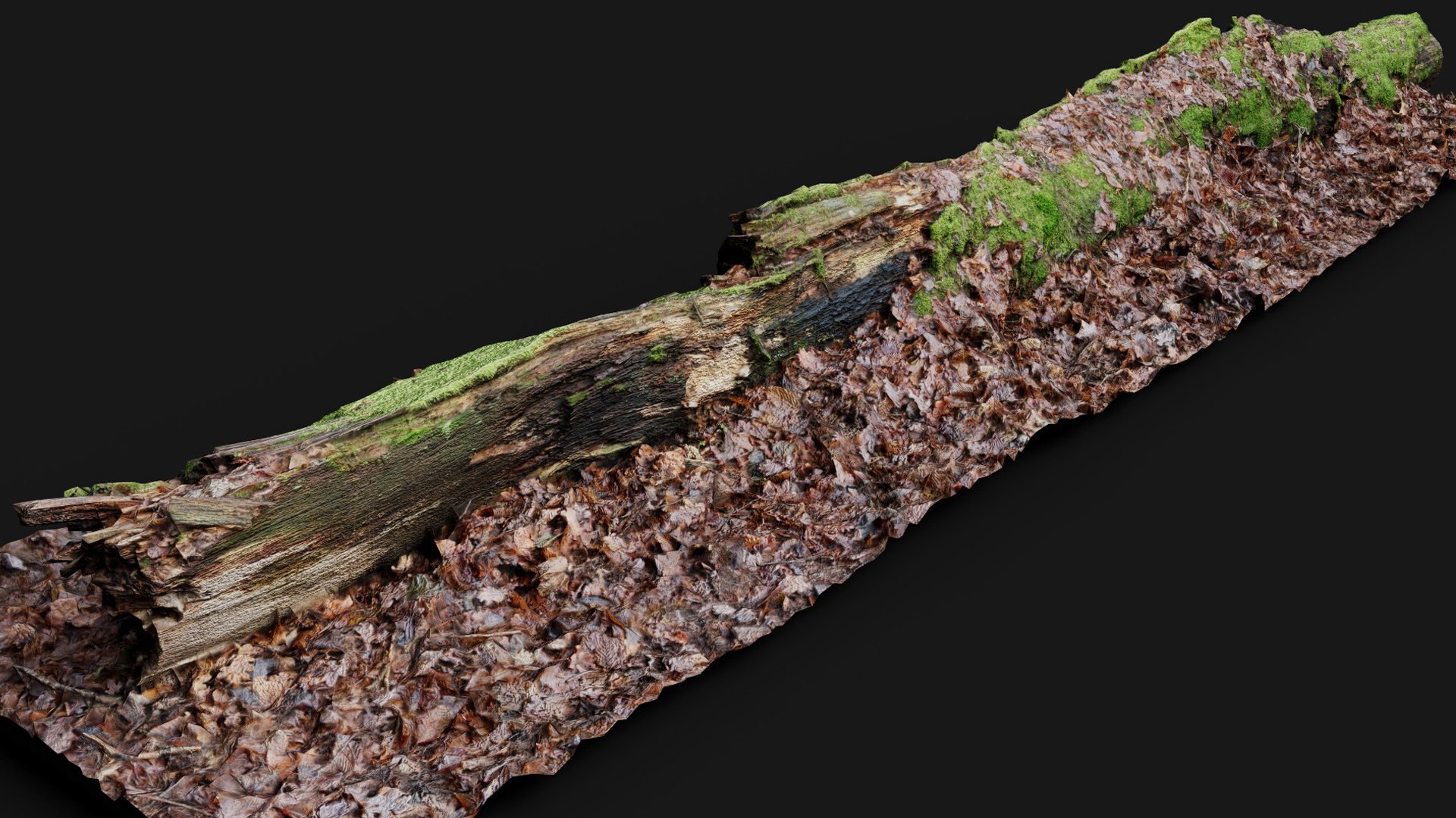 Forest Ground Mossy Tree Trunk Debris Pt10 Photogrammetry Model ...