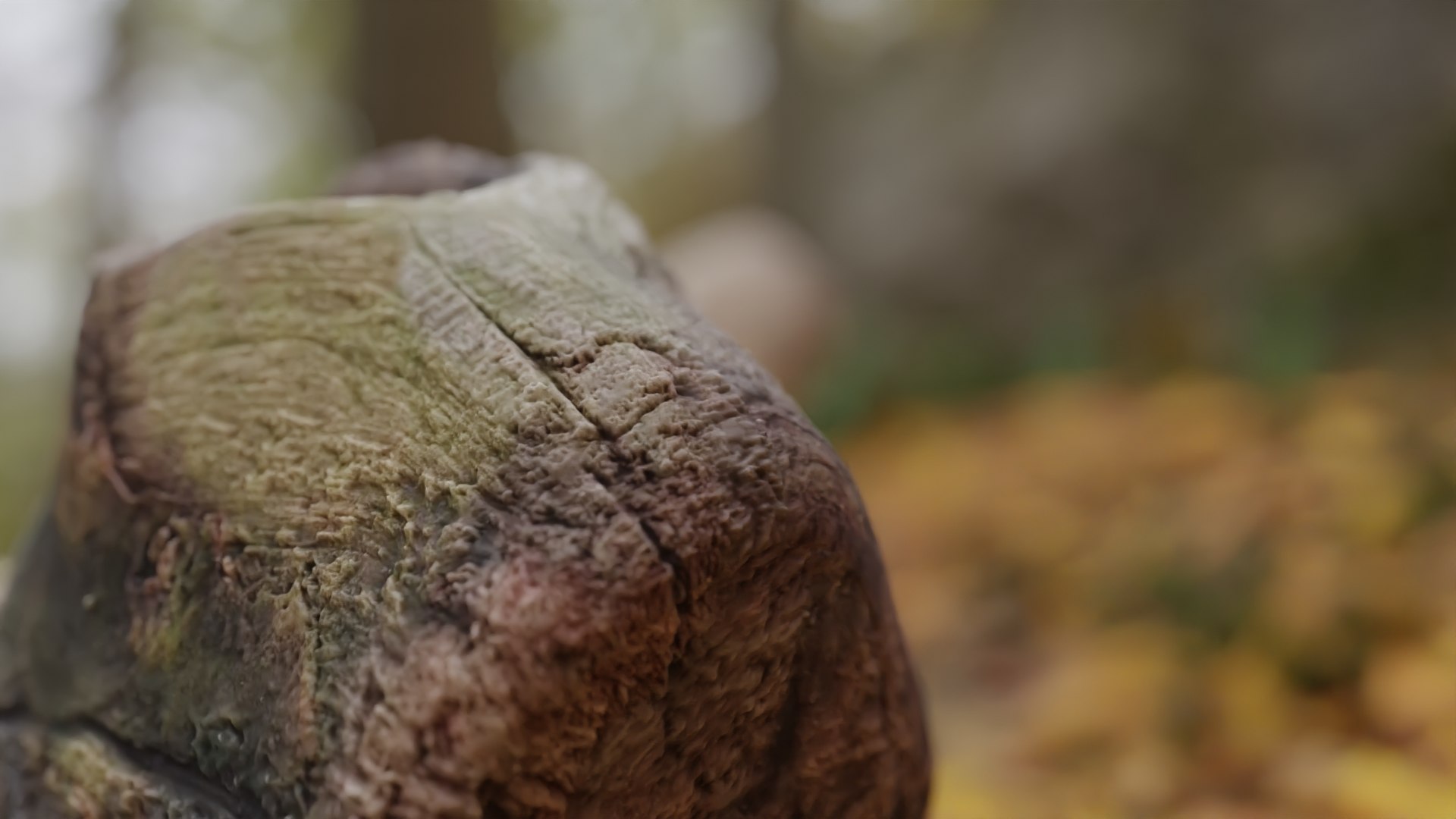 3D Curved Log Model - TurboSquid 1528724