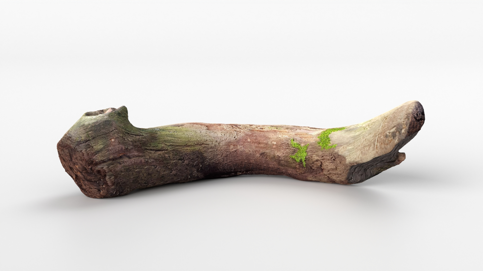 3D Curved Log Model - TurboSquid 1528724