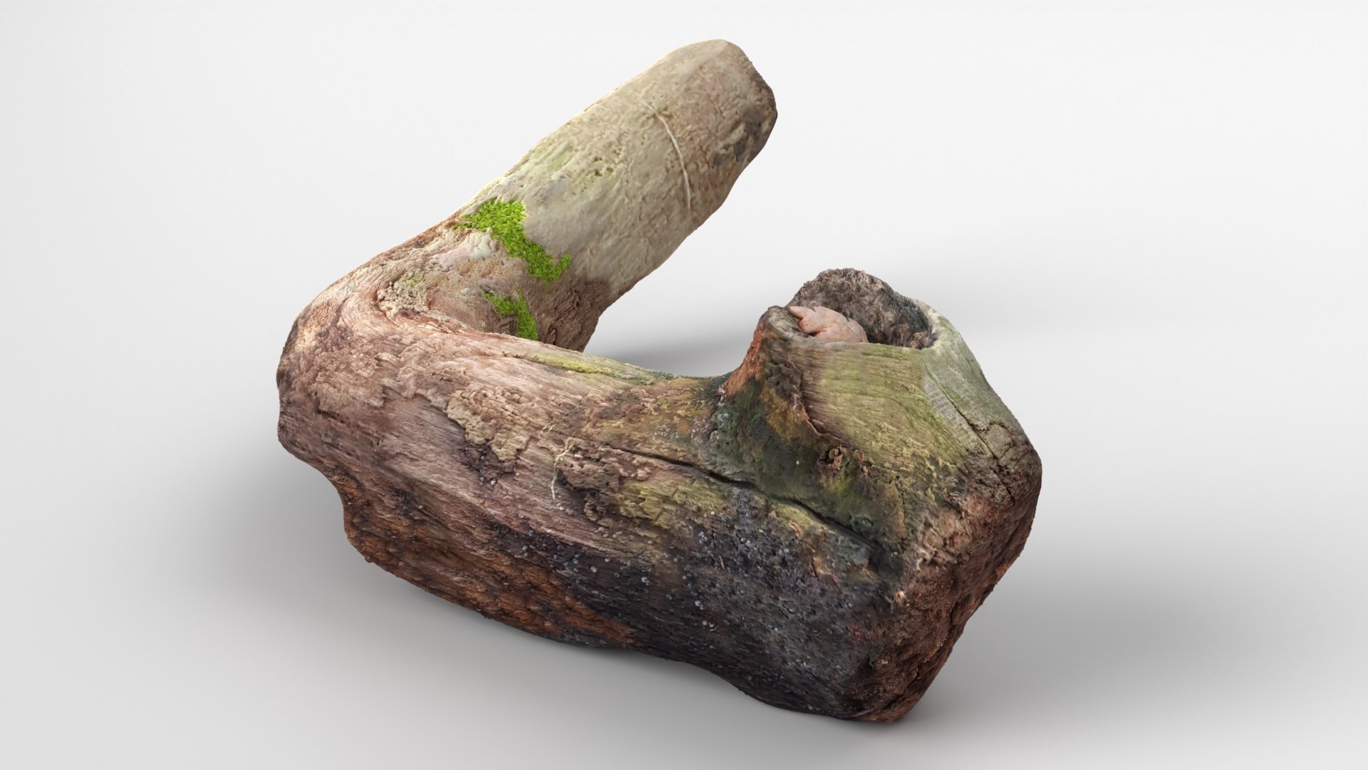 3D Curved Log Model - TurboSquid 1528724