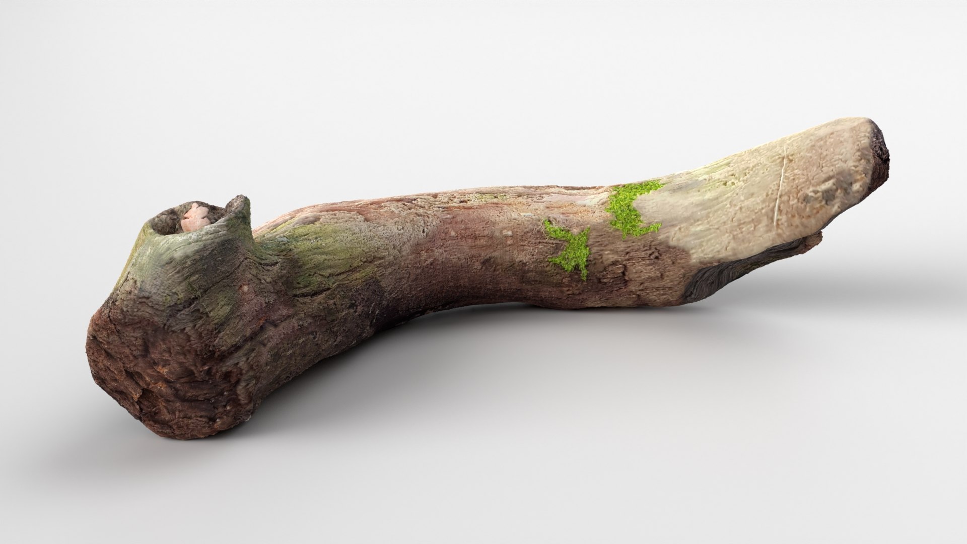 3D Curved Log Model - TurboSquid 1528724