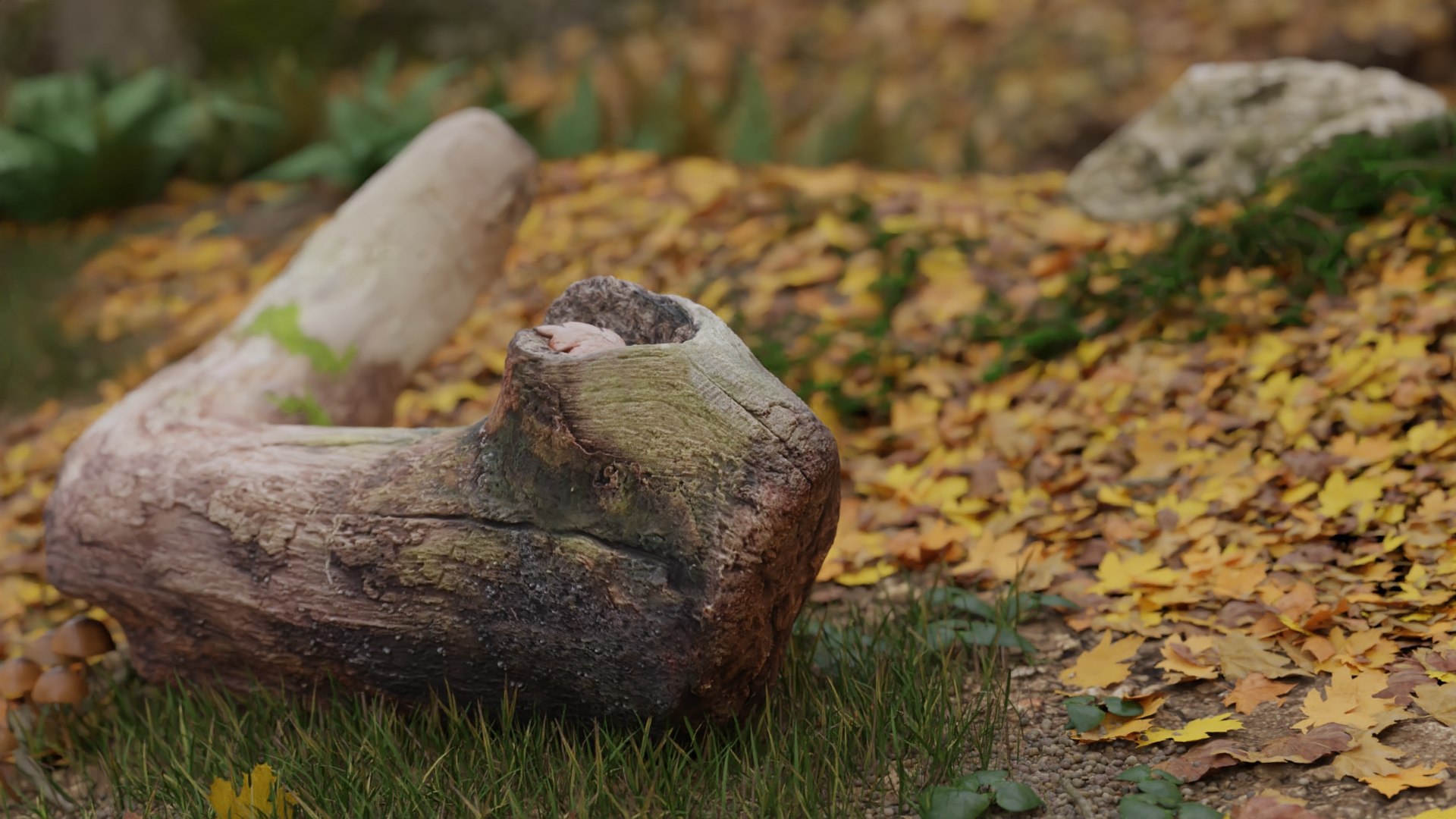 3D Curved Log Model - TurboSquid 1528724