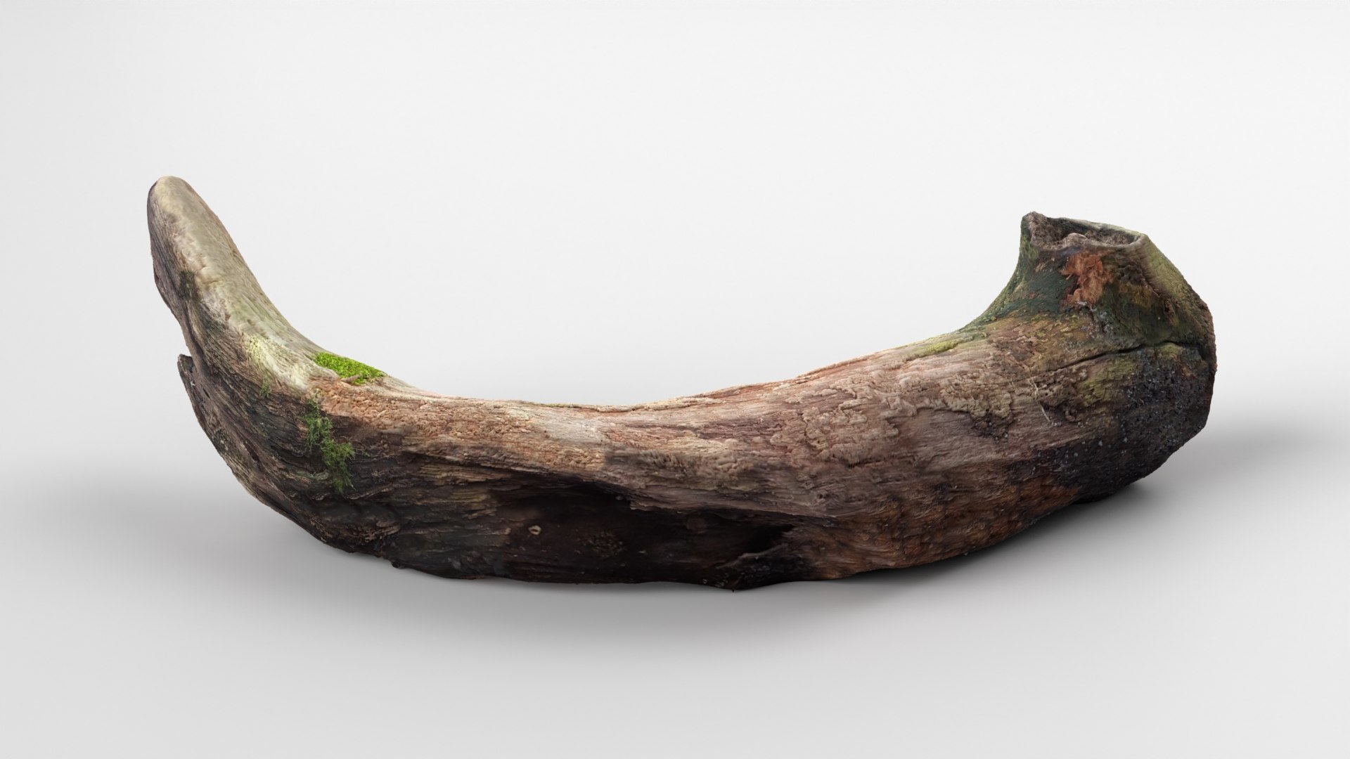 3D Curved Log Model - TurboSquid 1528724