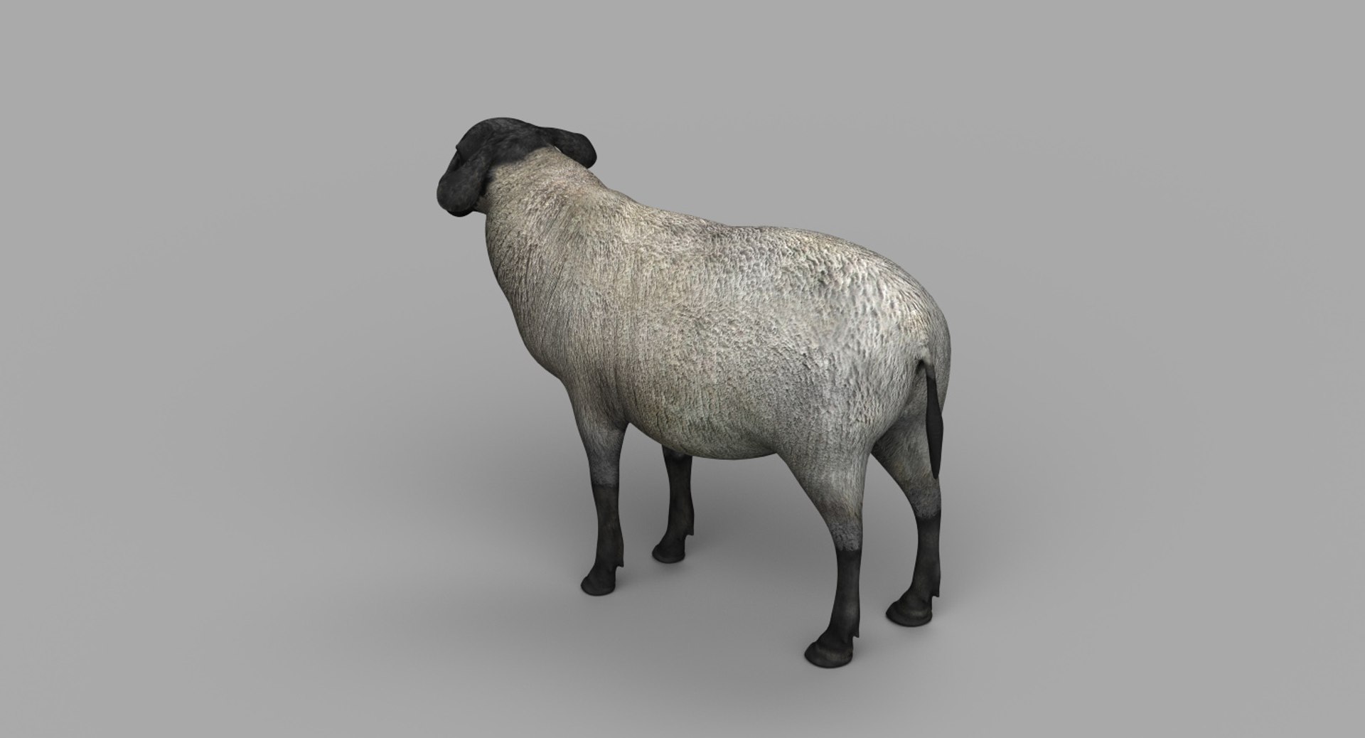 Sheep 3d 3ds