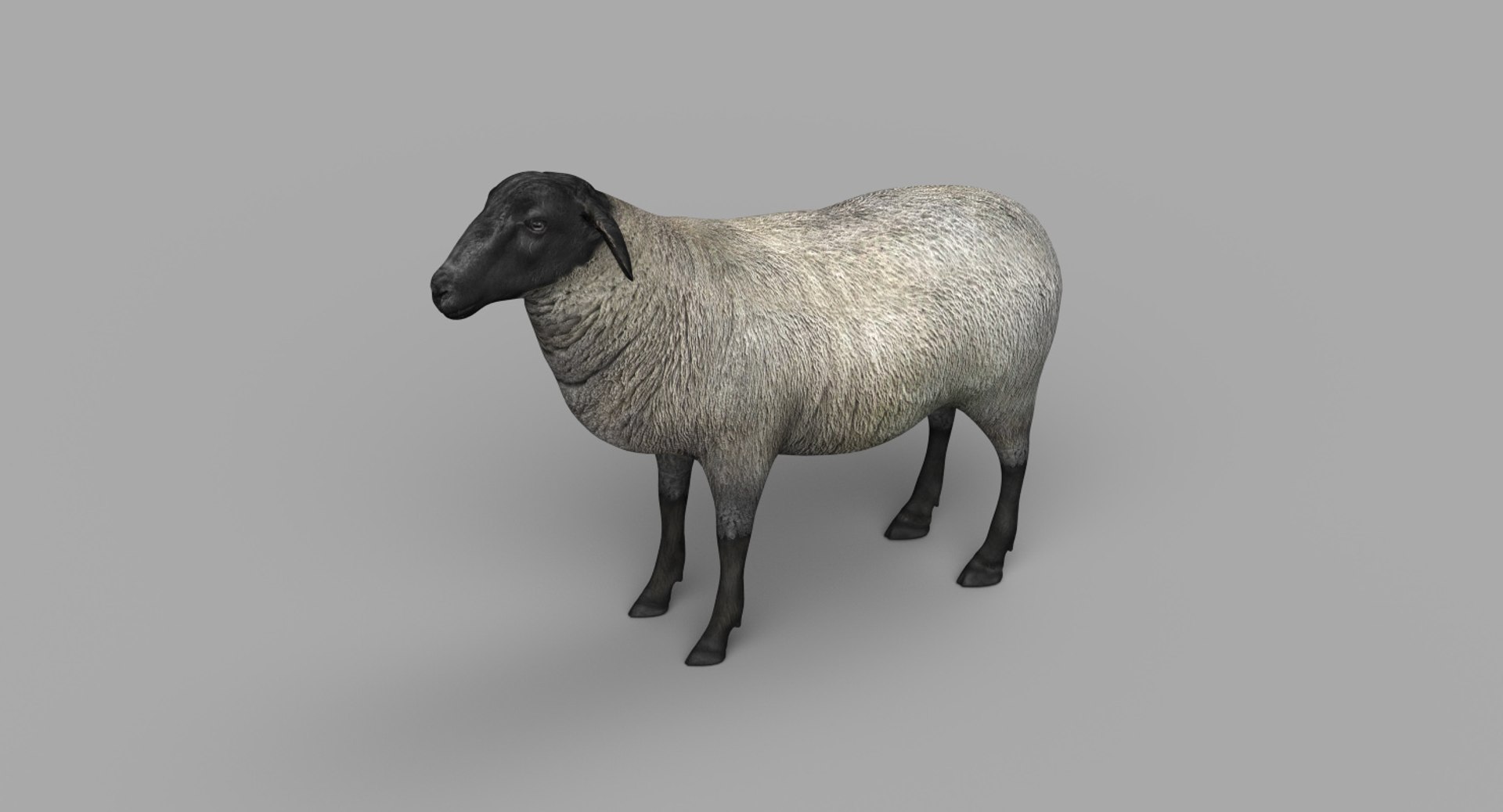 Sheep 3d 3ds