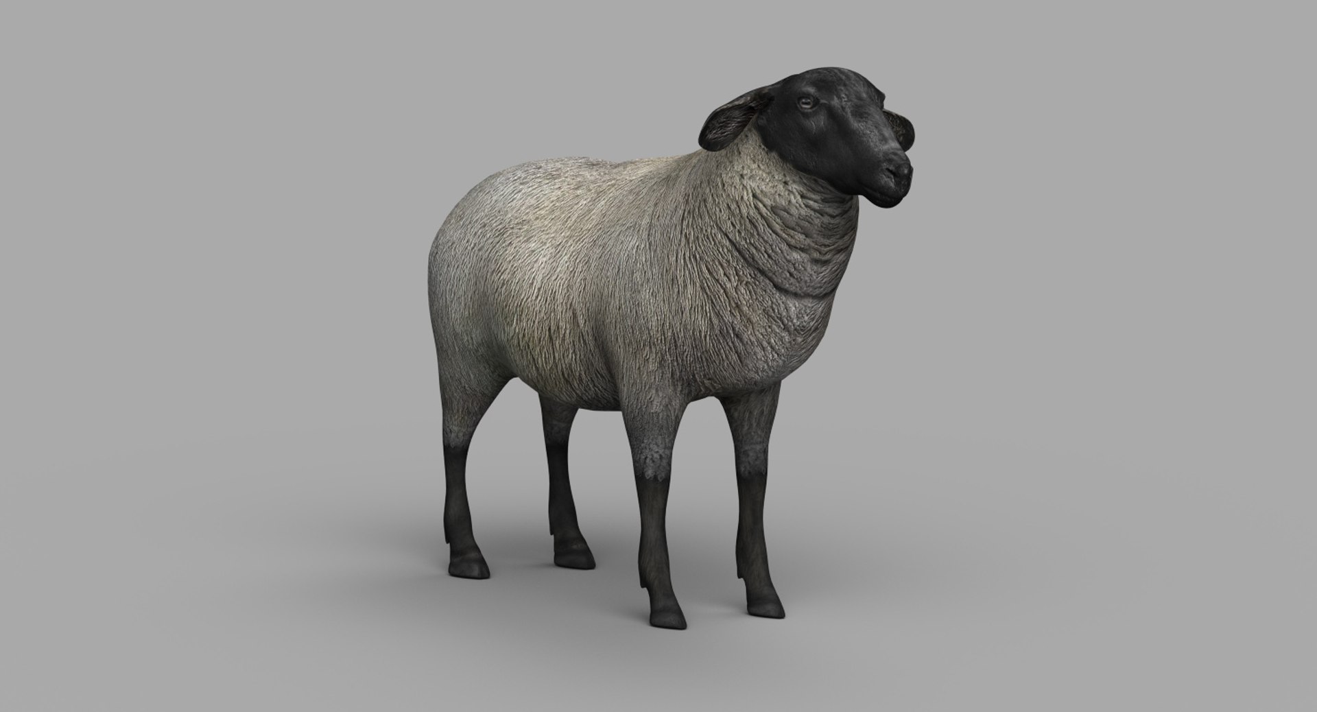 Sheep 3d 3ds