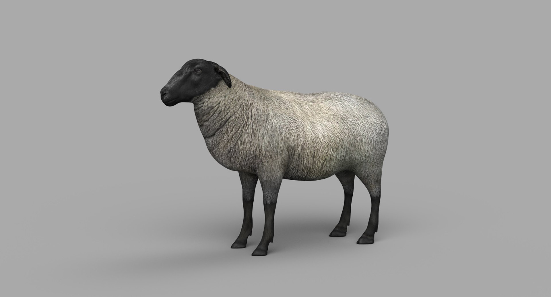 Sheep 3d 3ds