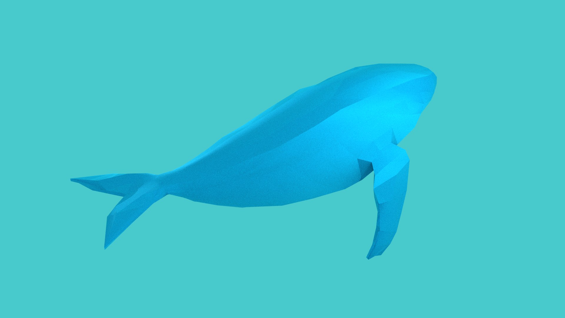 Whale 3D - TurboSquid 1535760