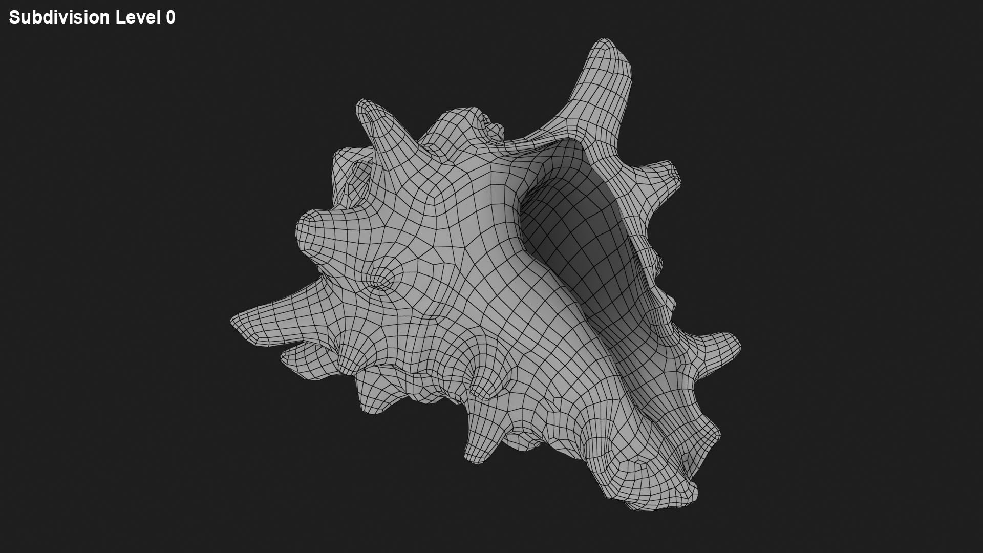 3D Sea Shell Collection 1 Model - TurboSquid 2254630