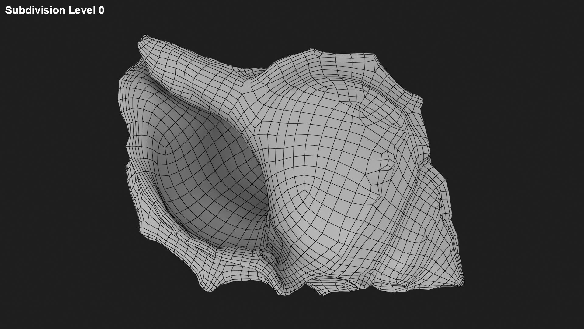 3D Sea Shell Collection 1 Model - TurboSquid 2254630