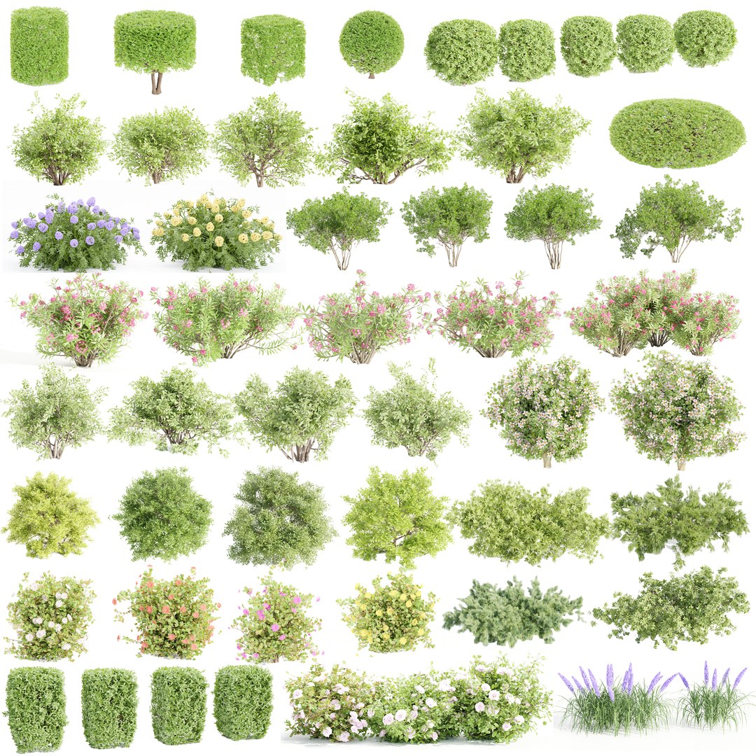 55 Bushes Collection-BlenderCycles 3D - TurboSquid 2159796