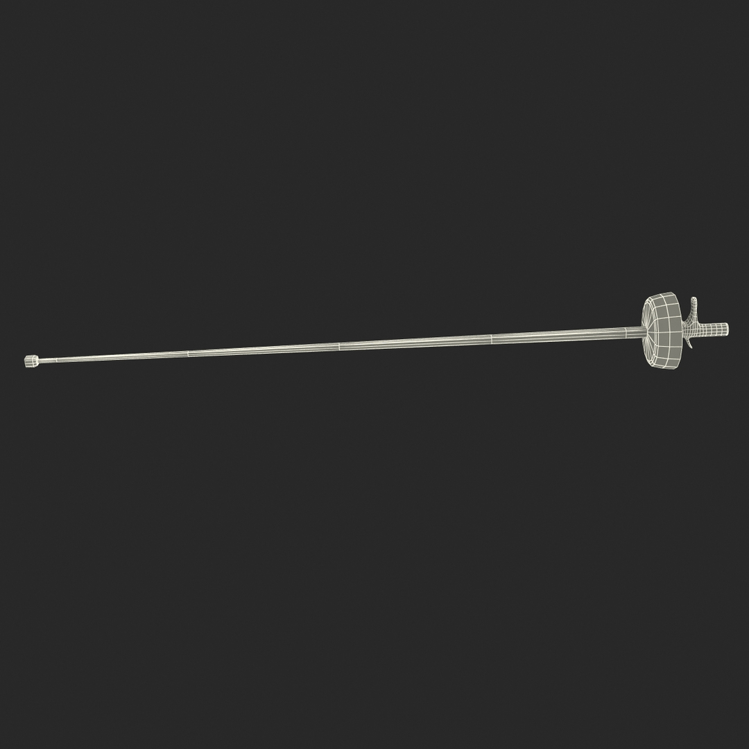 3d Fencing Practice Epee Weapon Sword Model