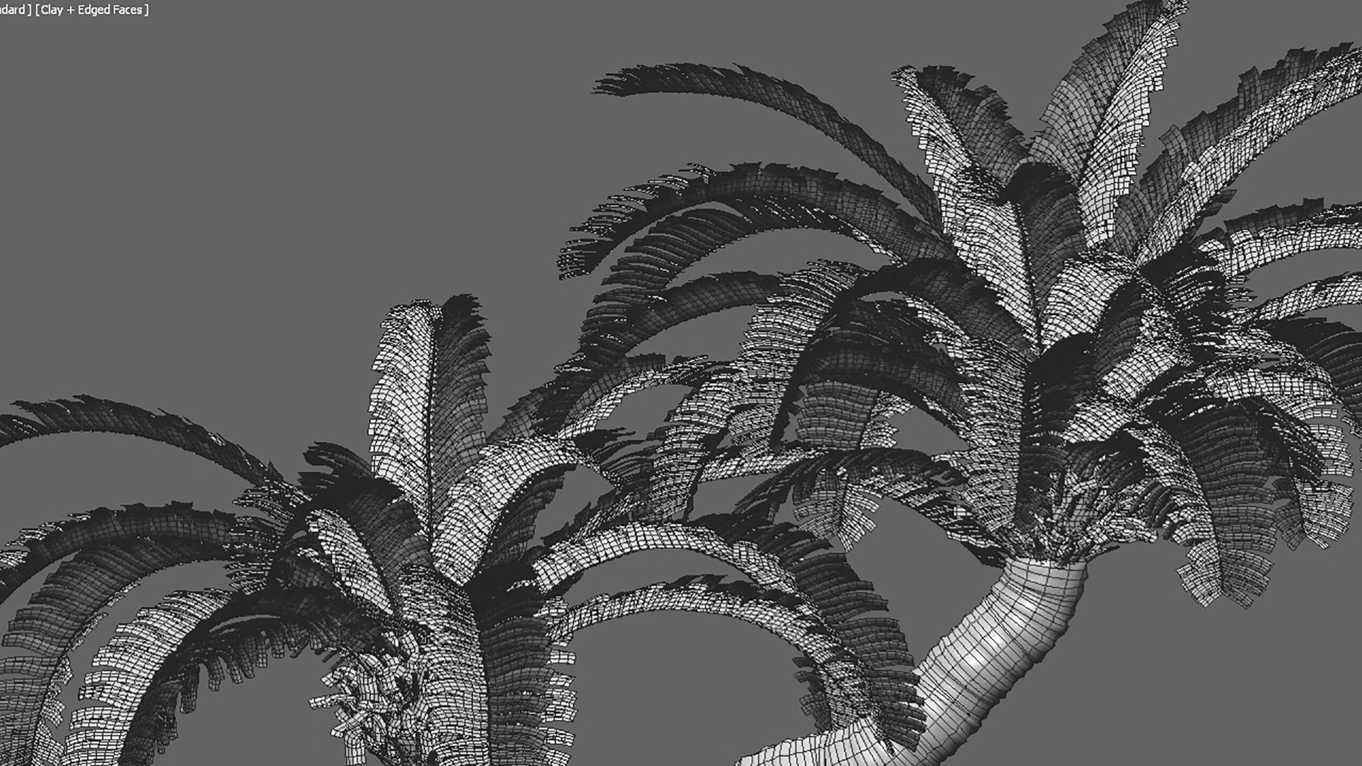 Encephalartos Altensteinii - Palm 01 3D Model - TurboSquid 1782072