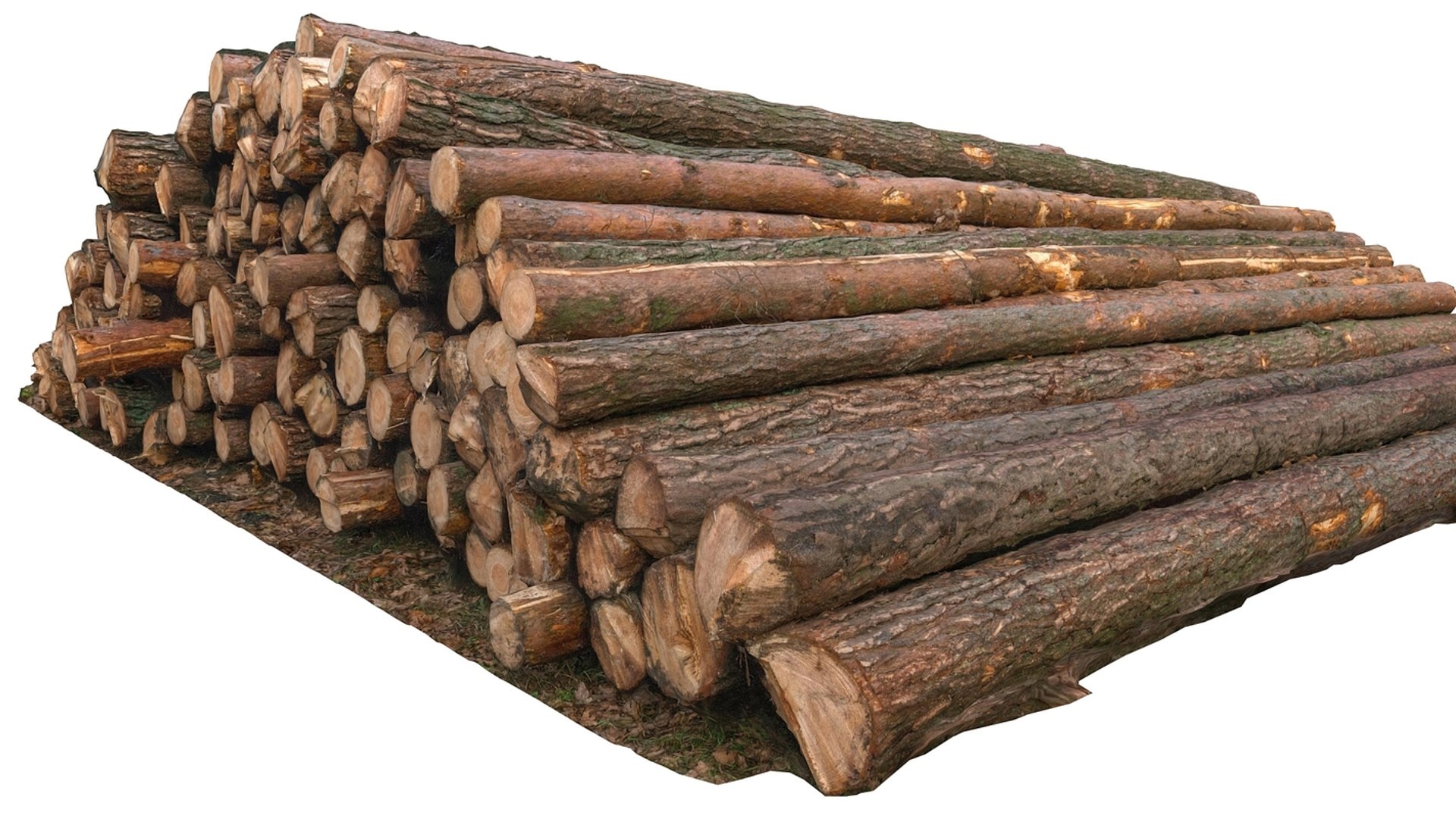 3D Logs Scan Pack - TurboSquid 1598192