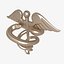 3d Medical Symbol Caduceus Animation Model