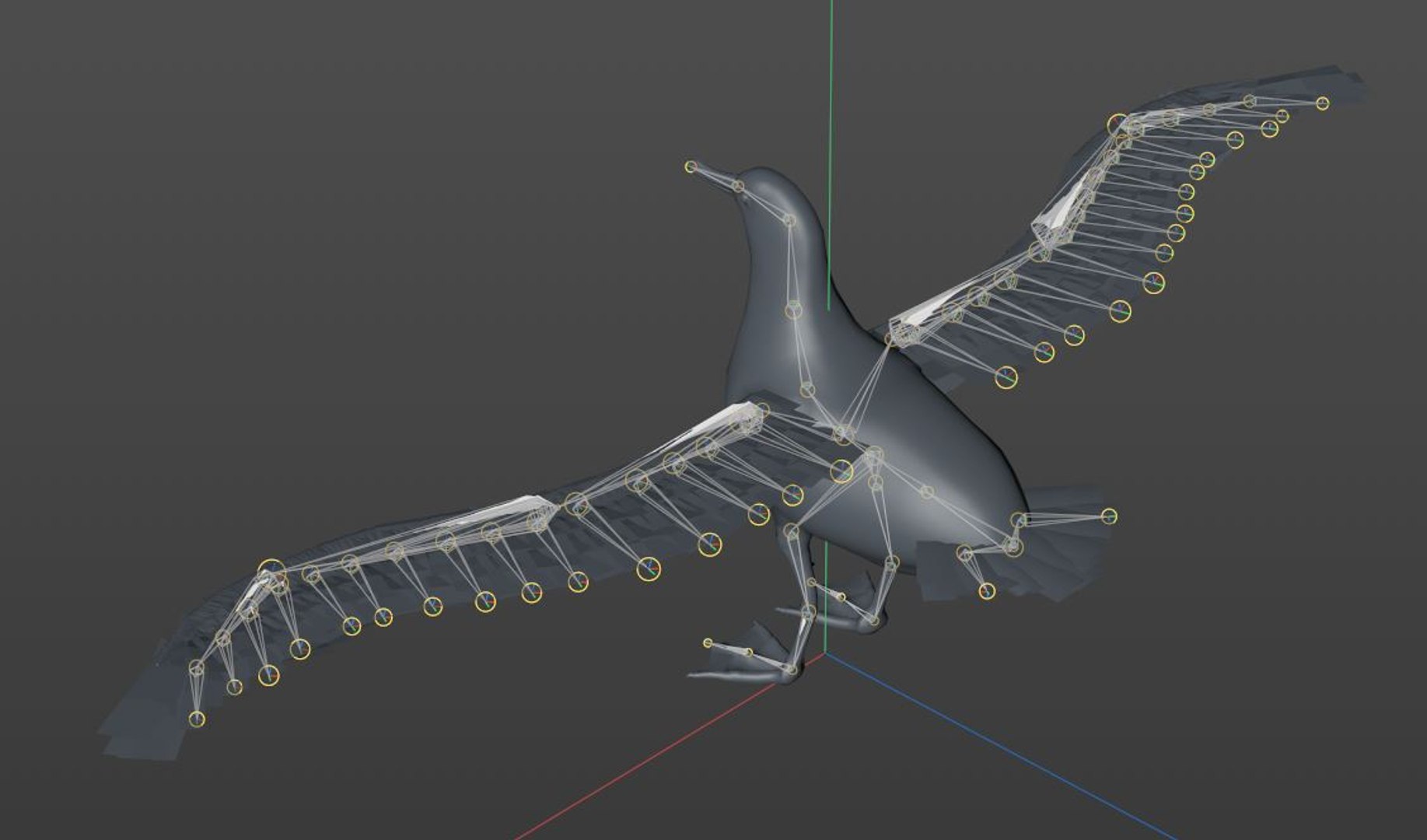 Bird Albatross 3D Model - TurboSquid 1534751