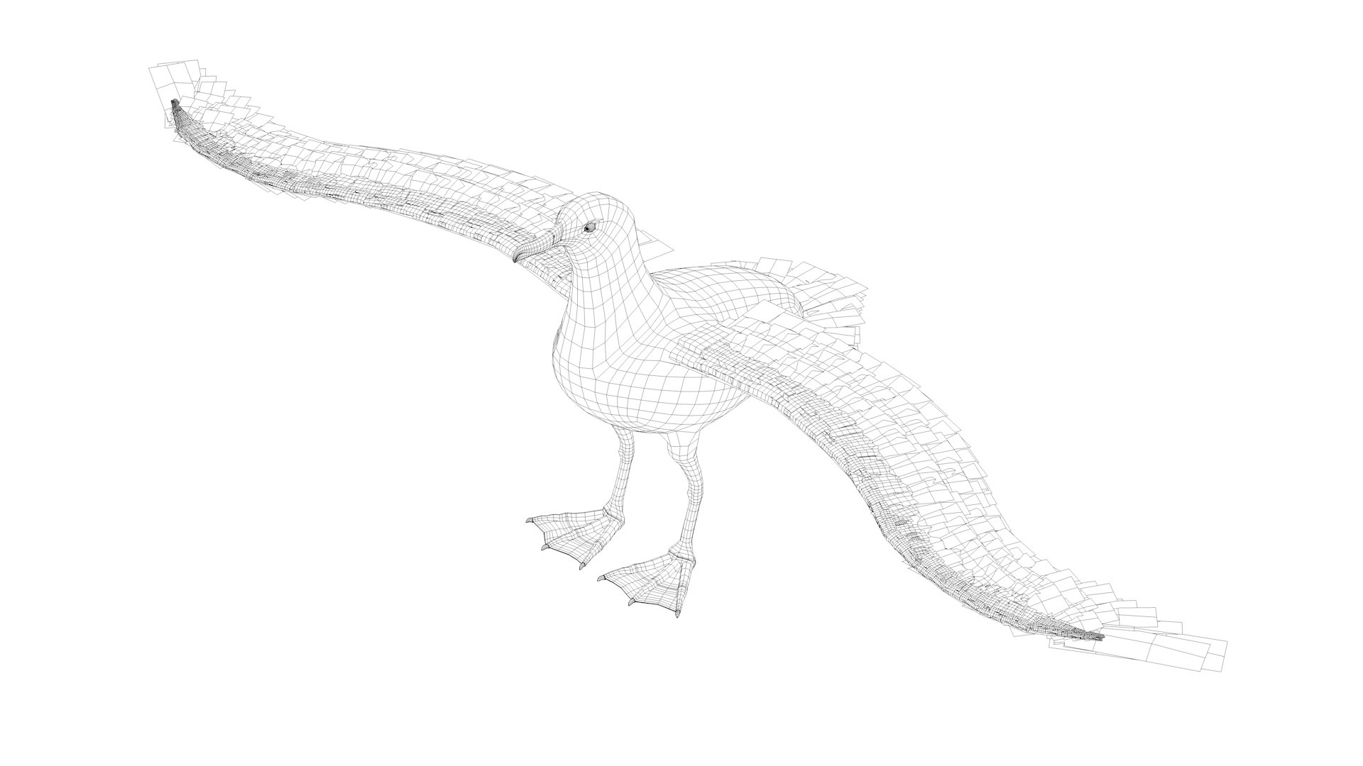 Bird Albatross 3D Model - TurboSquid 1534751