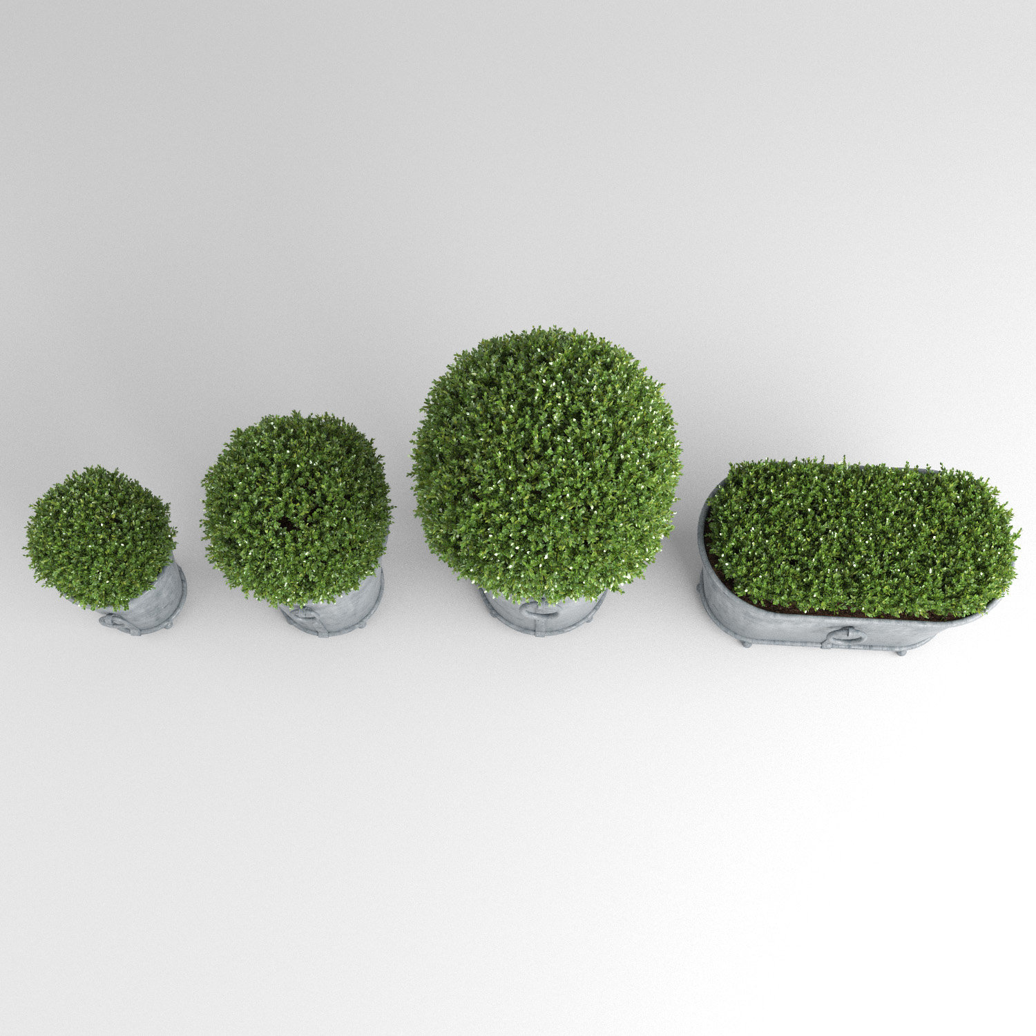 3d max realistic planters ring