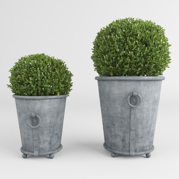3d max realistic planters ring