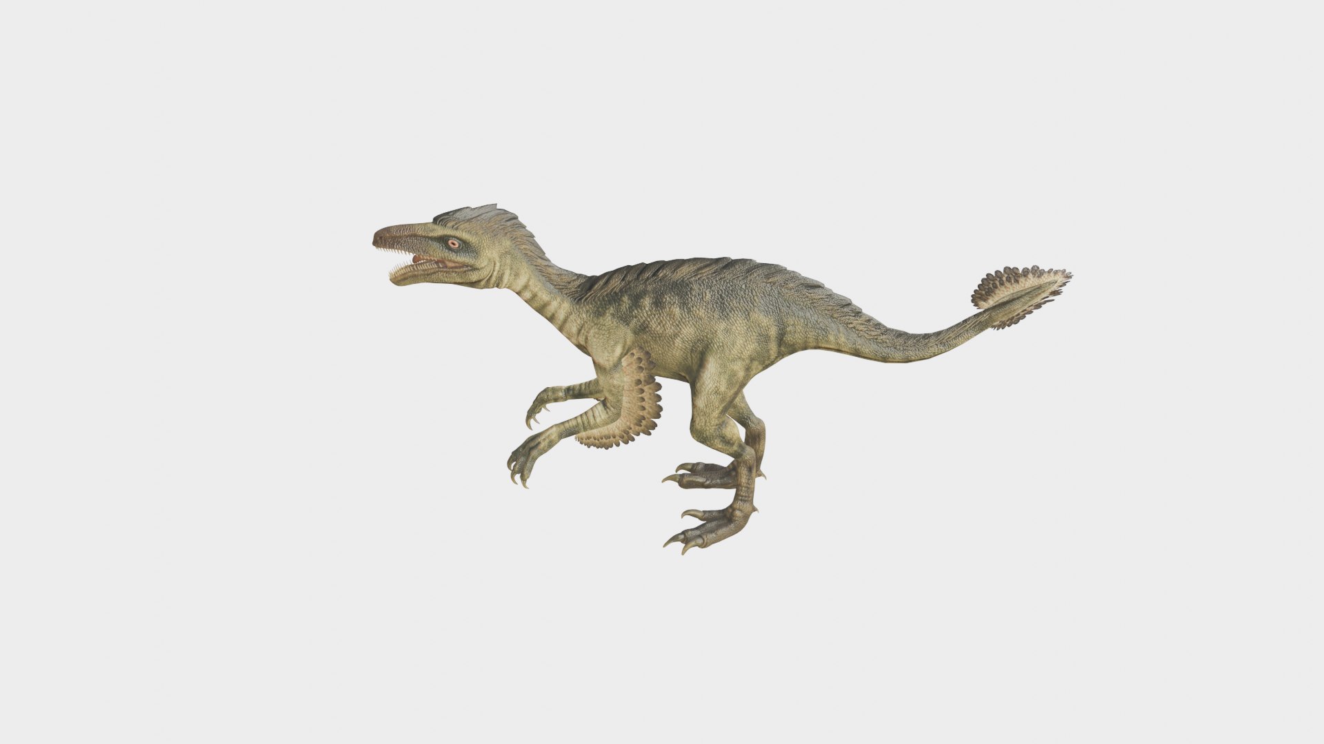 Troodon 3D model - TurboSquid 1657213
