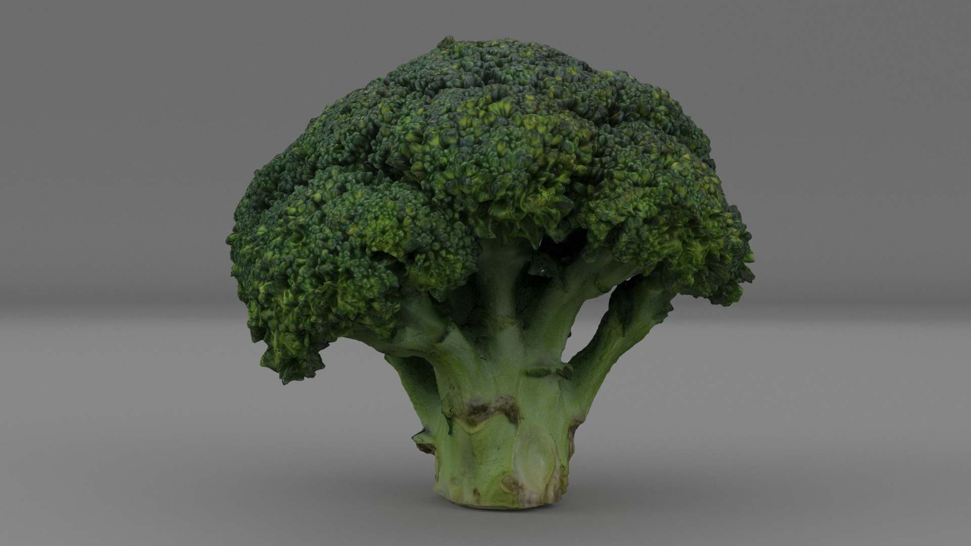 Broccoli Model - TurboSquid 1536081