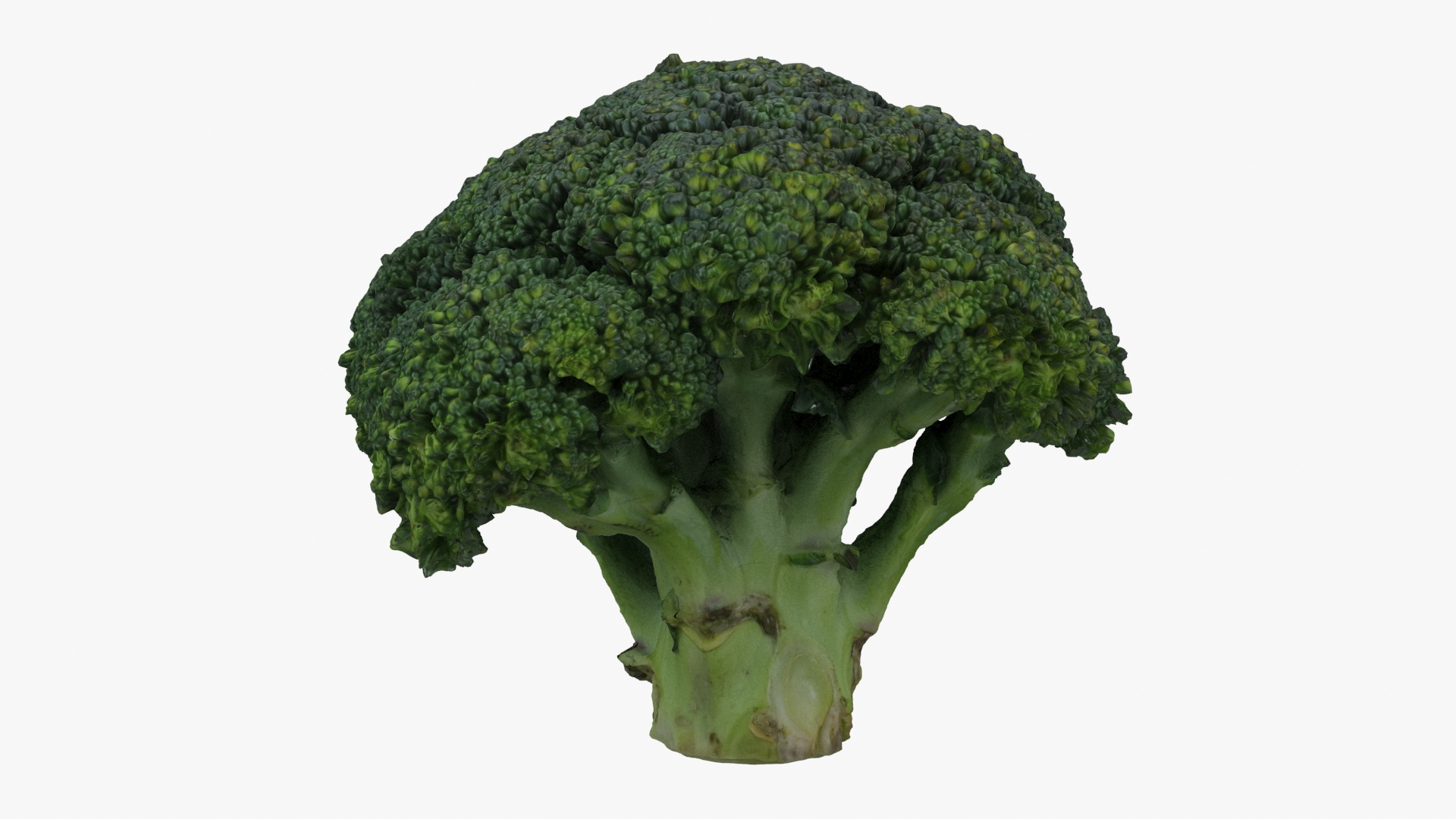 Broccoli Model - TurboSquid 1536081