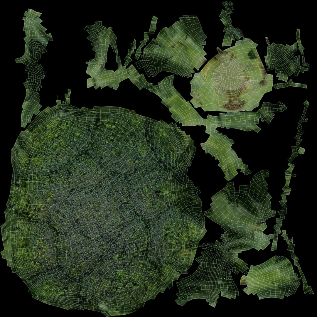 Broccoli Model - TurboSquid 1536081