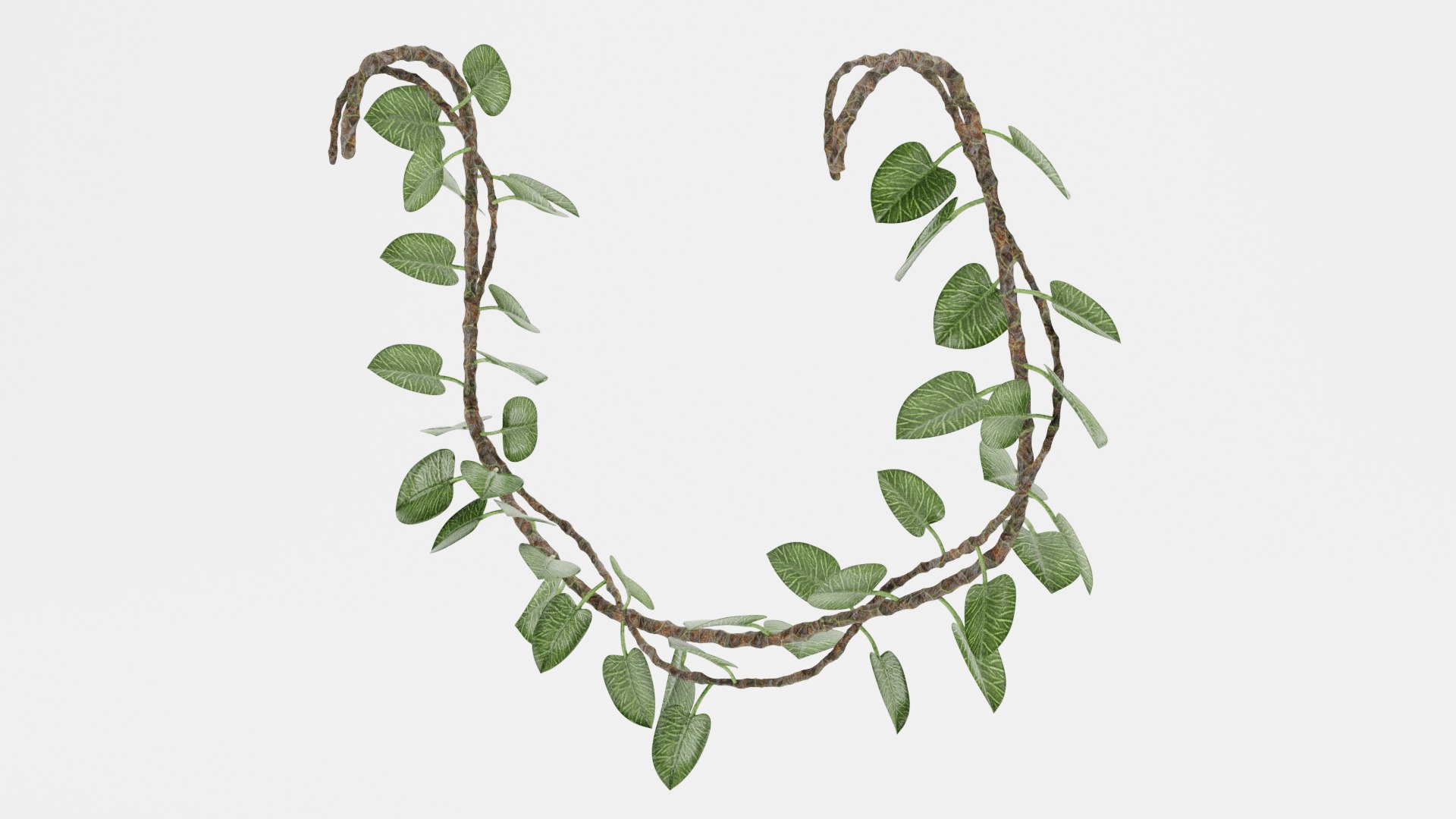 Liana Plant 3D Model - TurboSquid 1682711