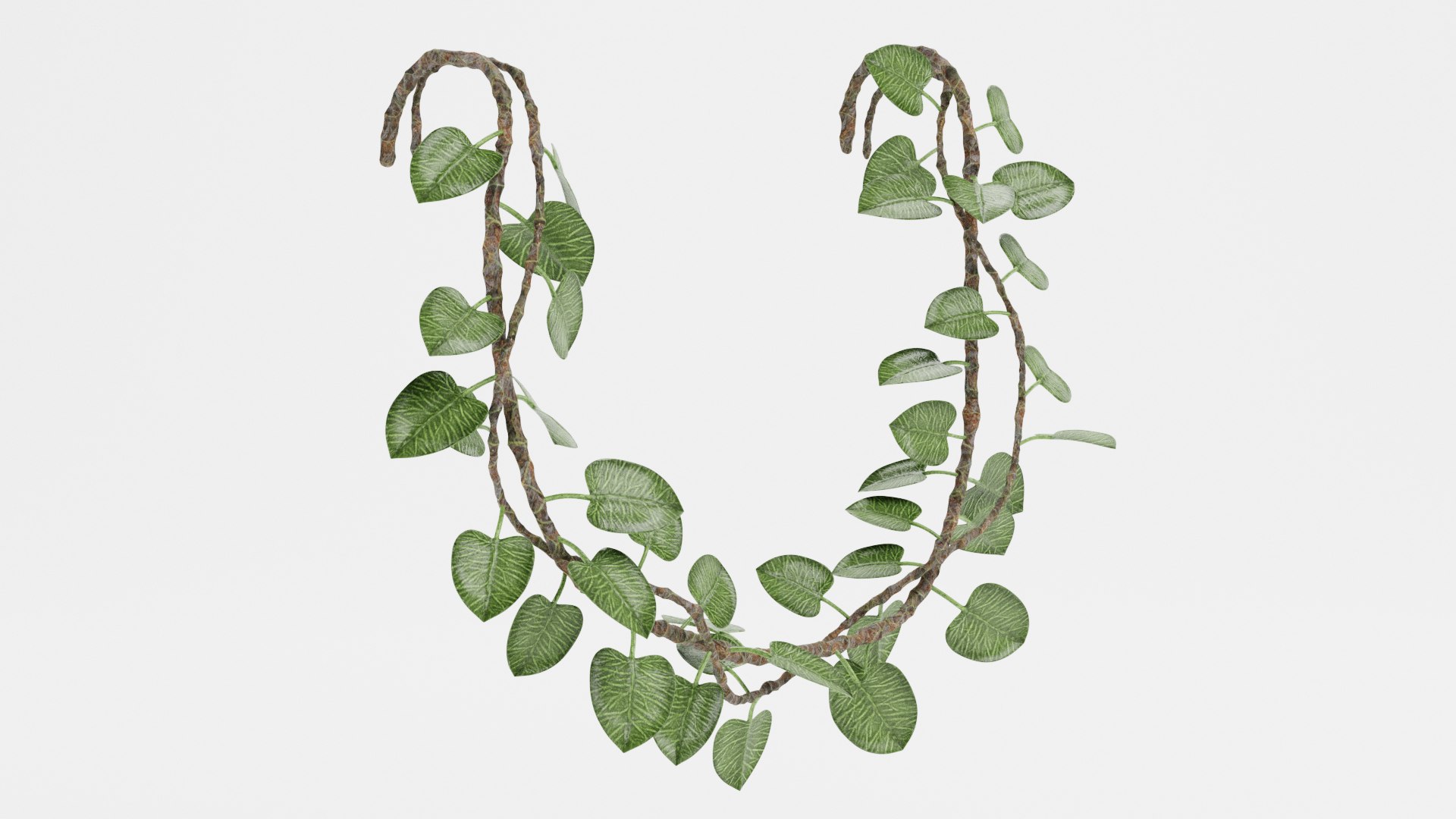 Liana Plant 3D Model - TurboSquid 1682711