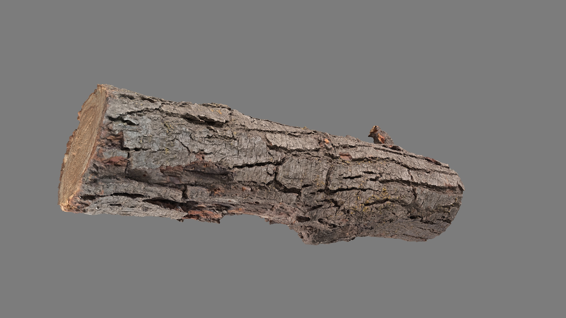 3D Tree Bark Scanned 7 - TurboSquid 2015755