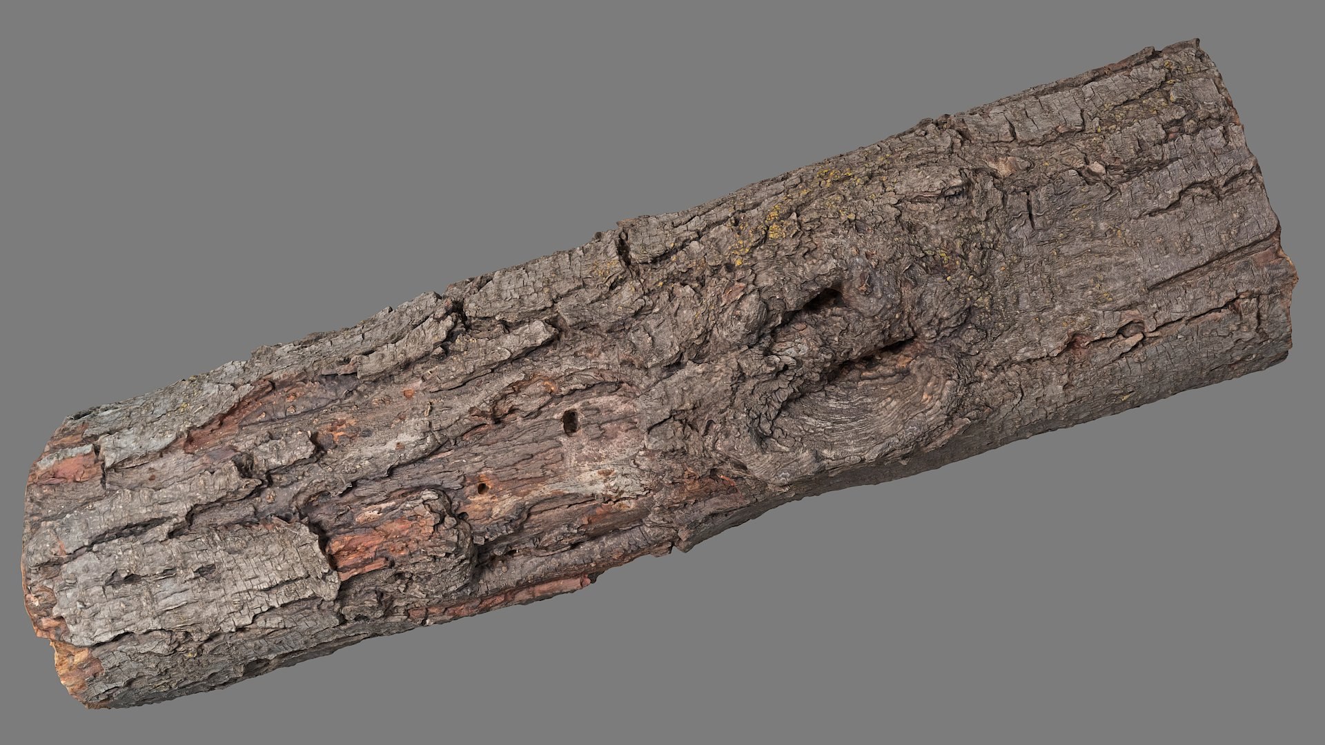 3D Tree Bark Scanned 7 - TurboSquid 2015755