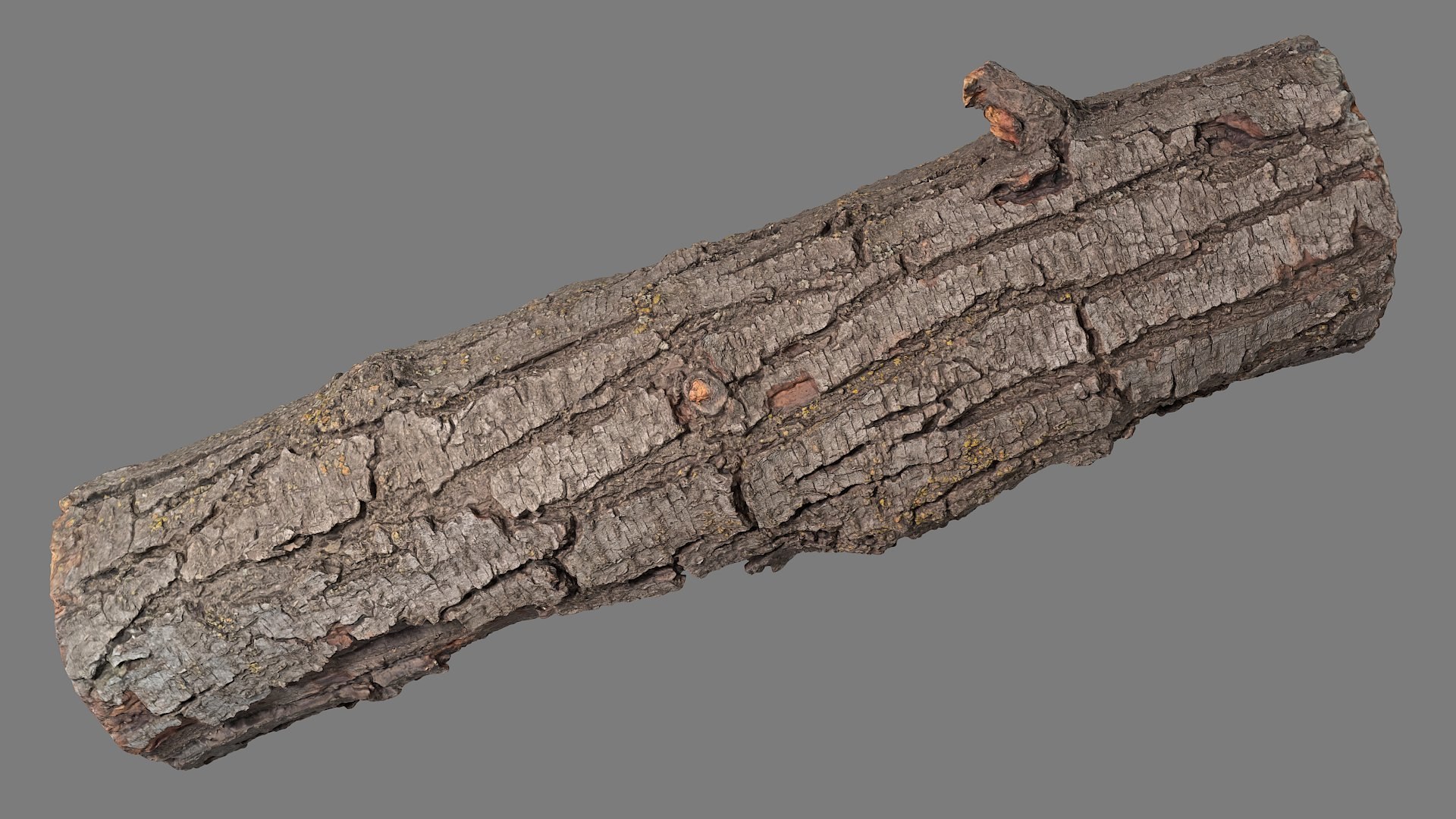 3D Tree Bark Scanned 7 - TurboSquid 2015755