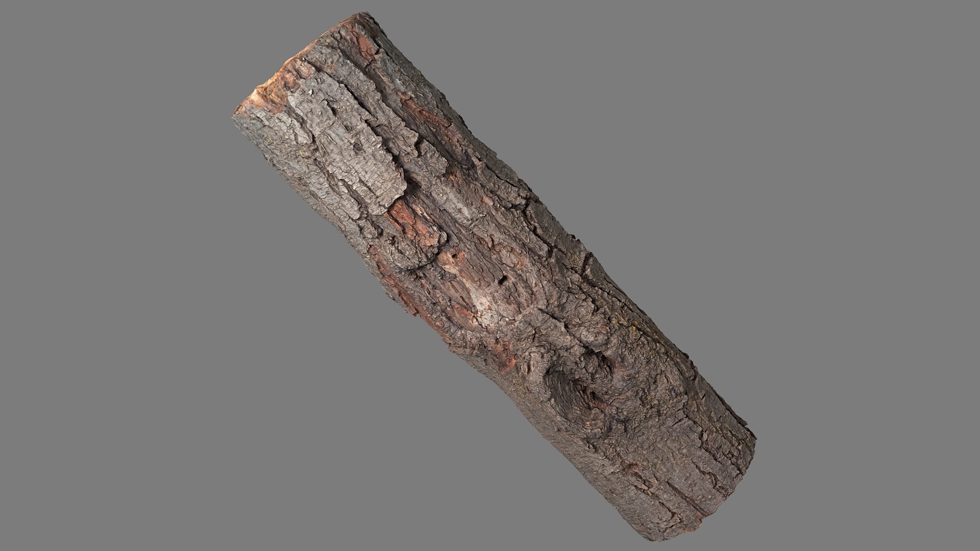 3D Tree Bark Scanned 7 - TurboSquid 2015755