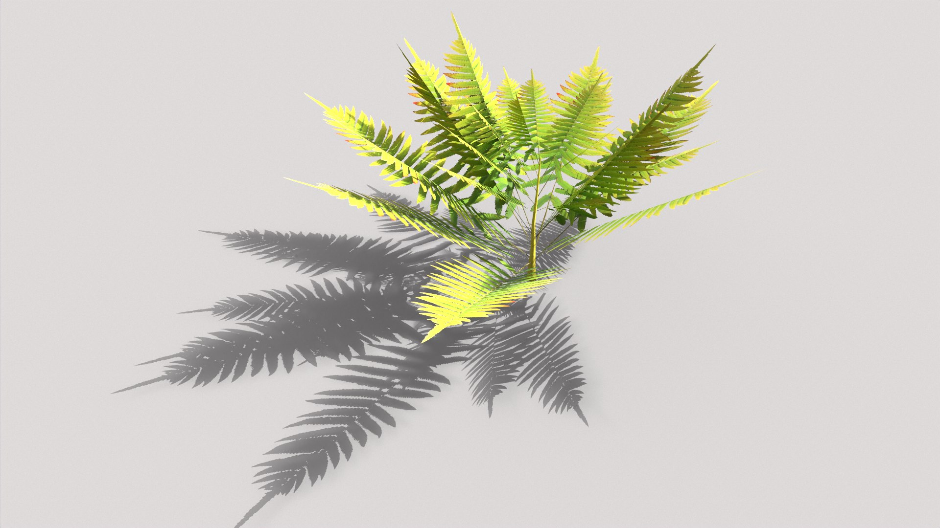 3D Model Fern Pack - Low Poly - TurboSquid 1841170