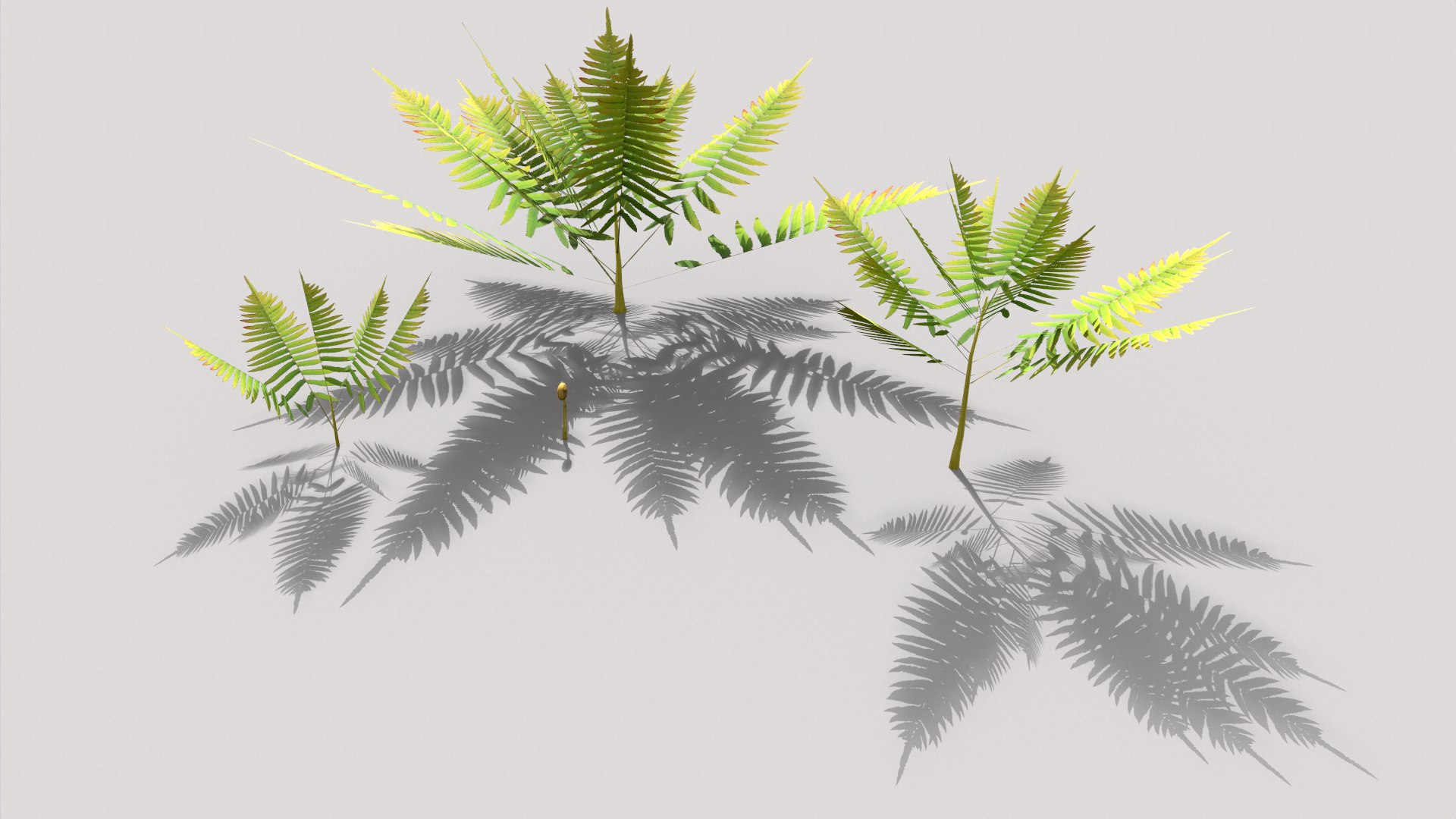 3D Model Fern Pack - Low Poly - TurboSquid 1841170