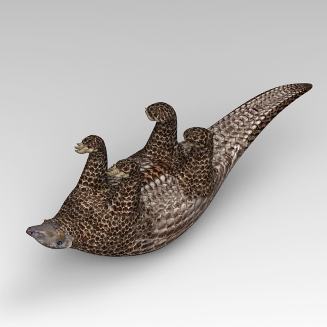 Pangolin 3D Model - TurboSquid 1334350