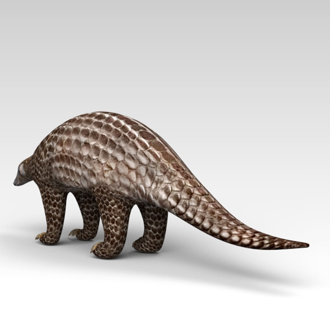 Pangolin 3D Model - TurboSquid 1334350