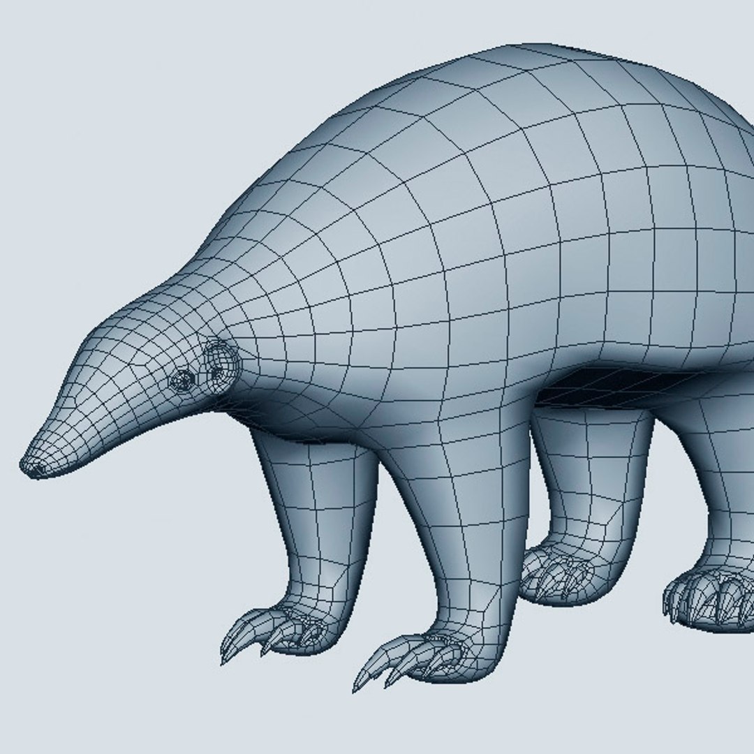 Pangolin 3D Model - TurboSquid 1334350