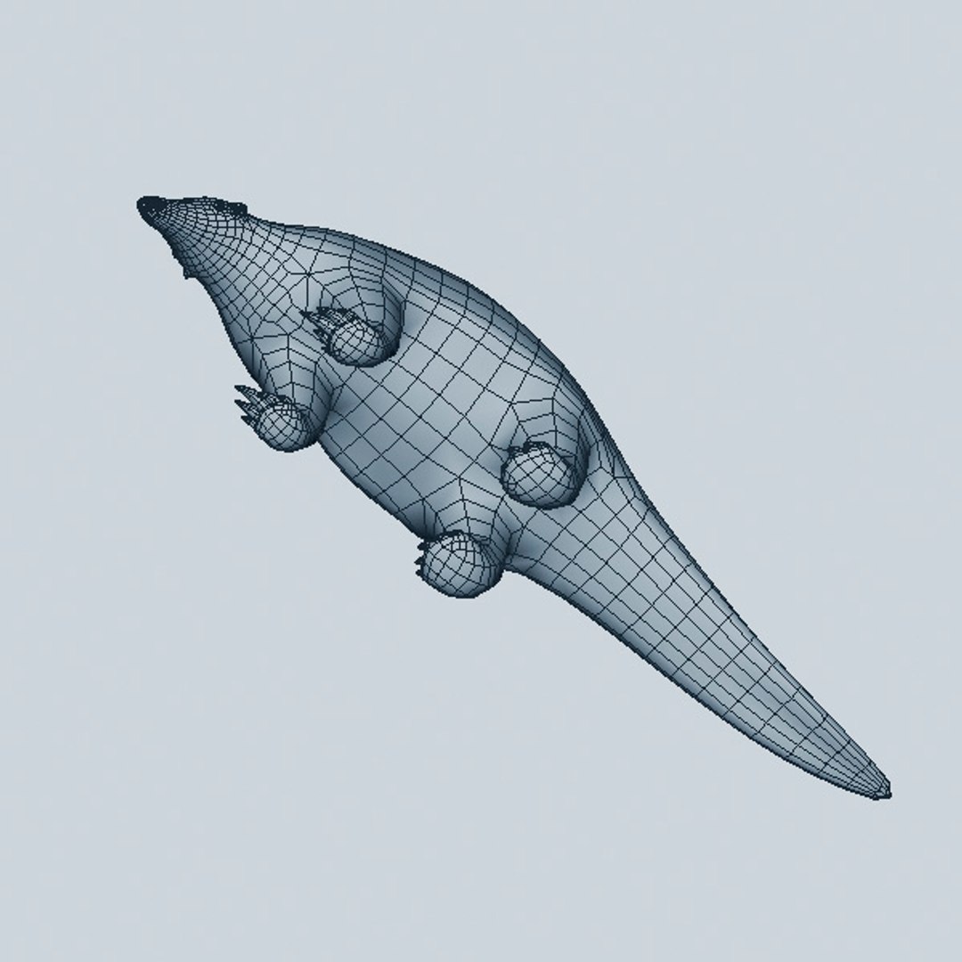 Pangolin 3D Model - TurboSquid 1334350