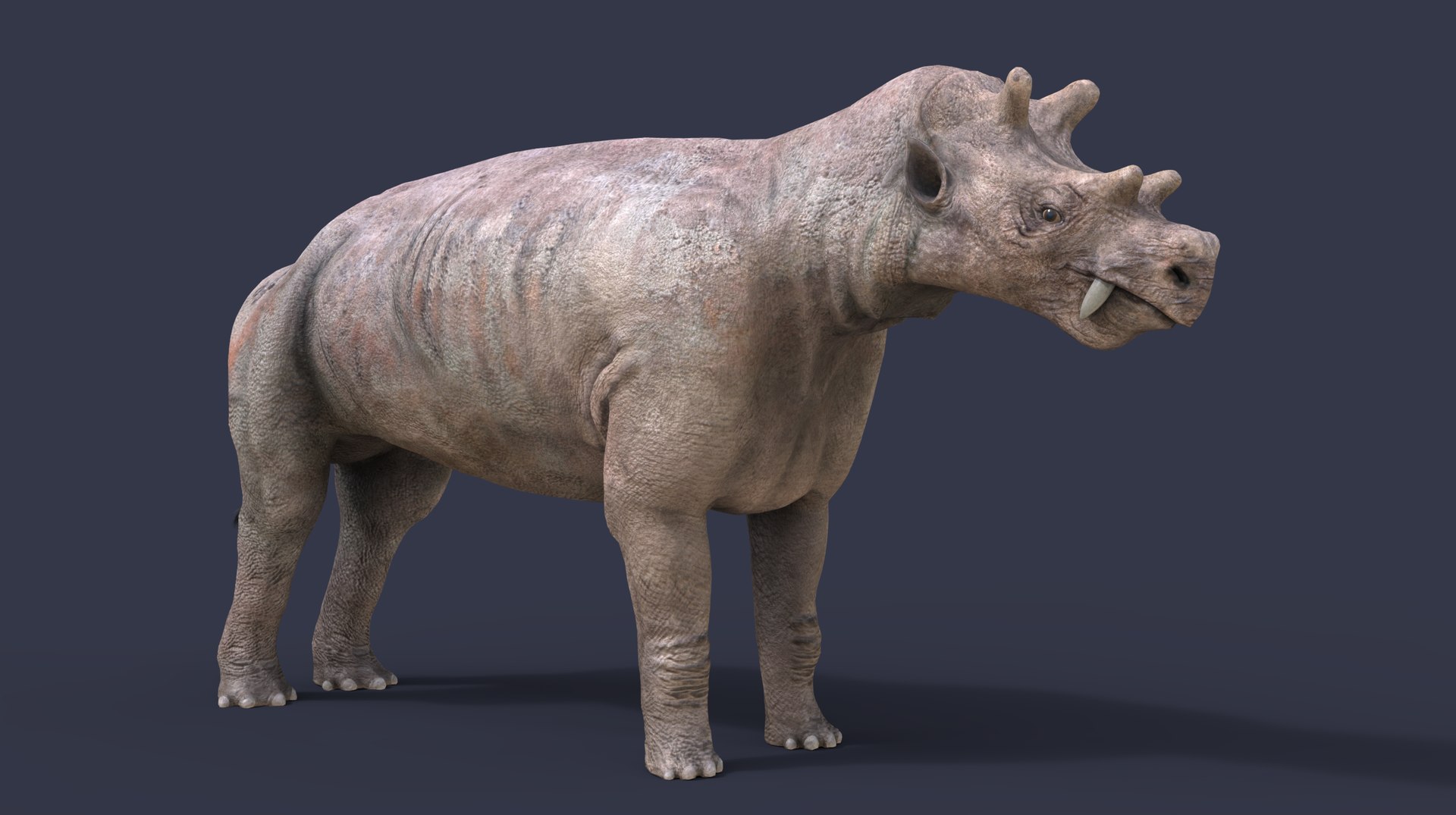 Uintatherium Model - TurboSquid 1730345