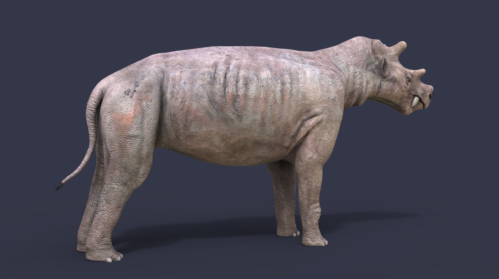 Uintatherium Model - TurboSquid 1730345
