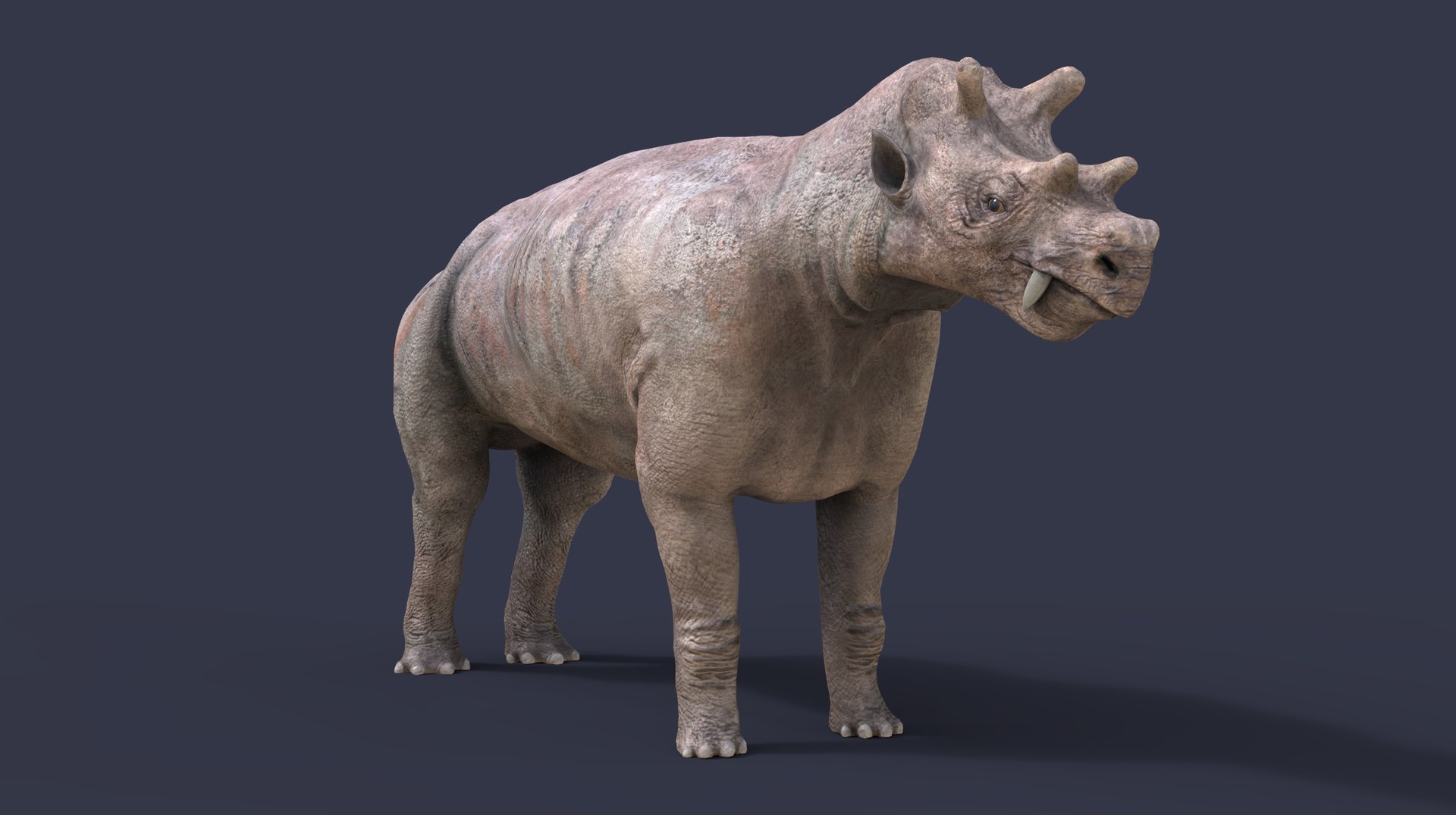 Uintatherium Model - TurboSquid 1730345