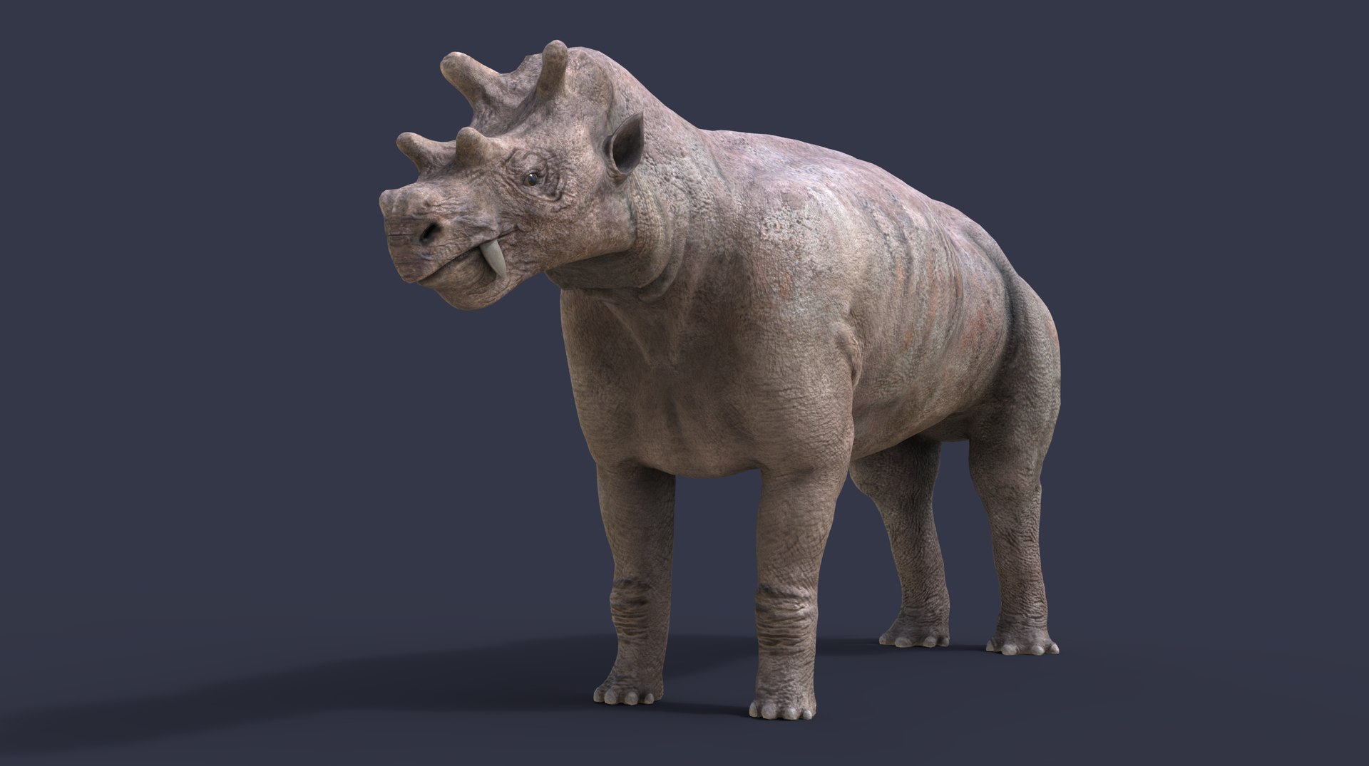 Uintatherium Model - TurboSquid 1730345