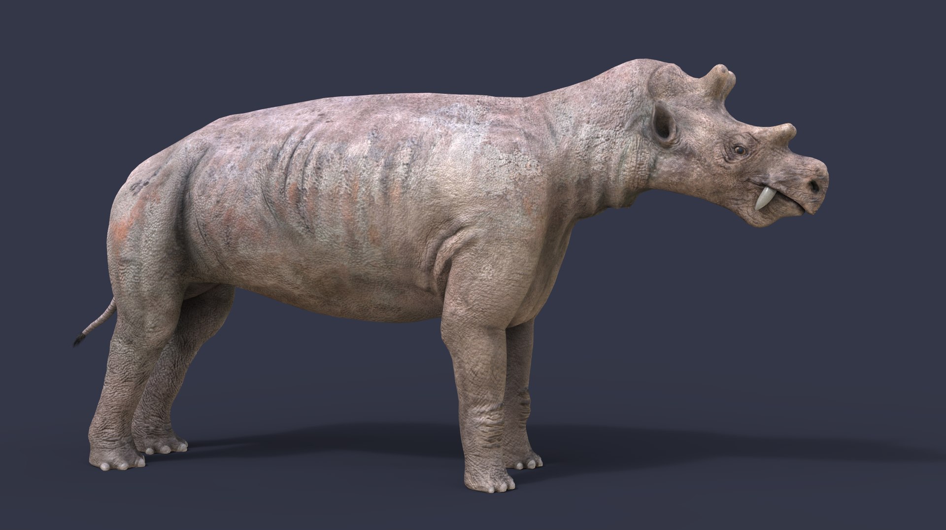 Uintatherium Model - TurboSquid 1730345