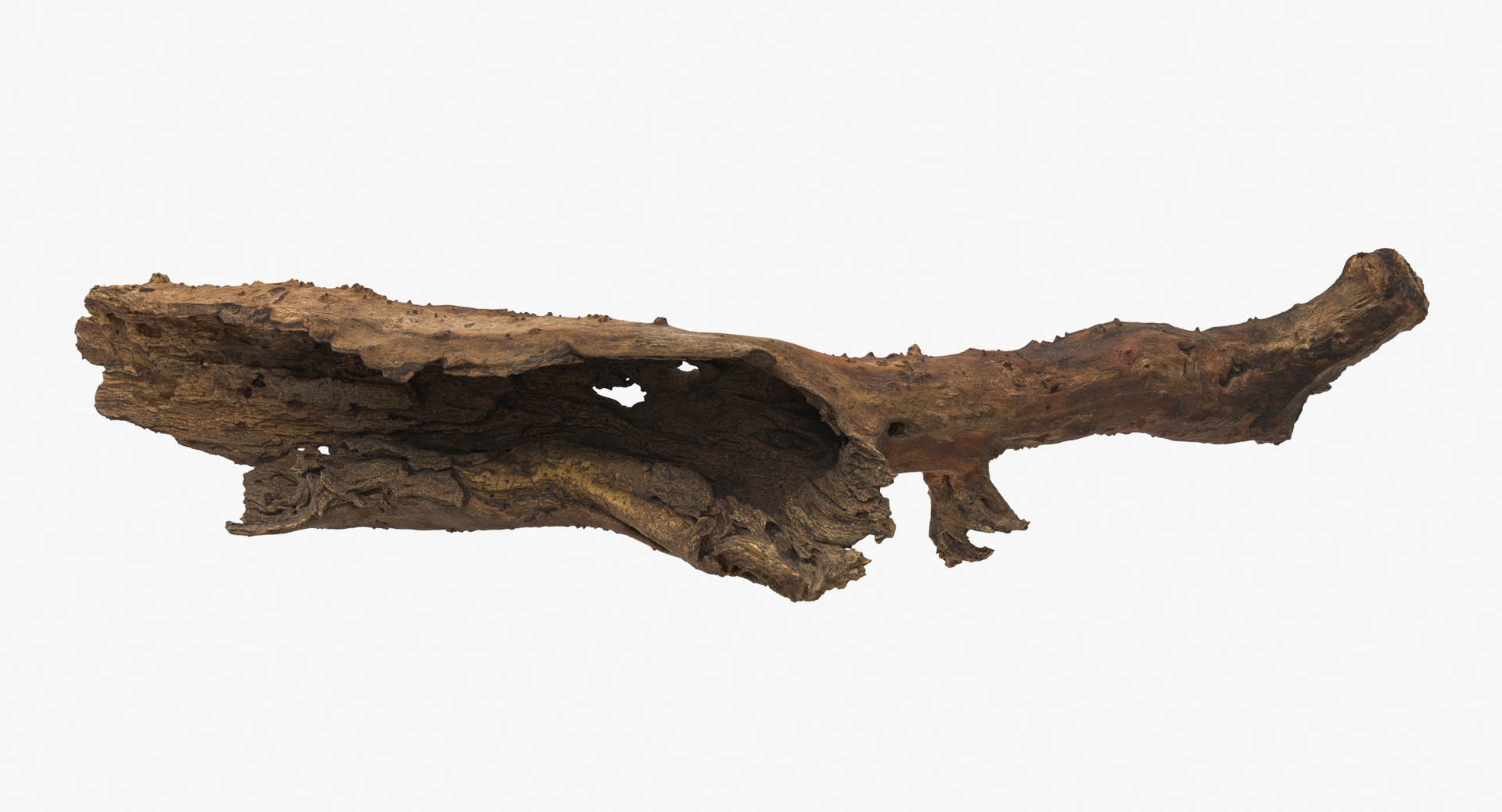 3D Broken Tree Bark Piece 01 - TurboSquid 2296118