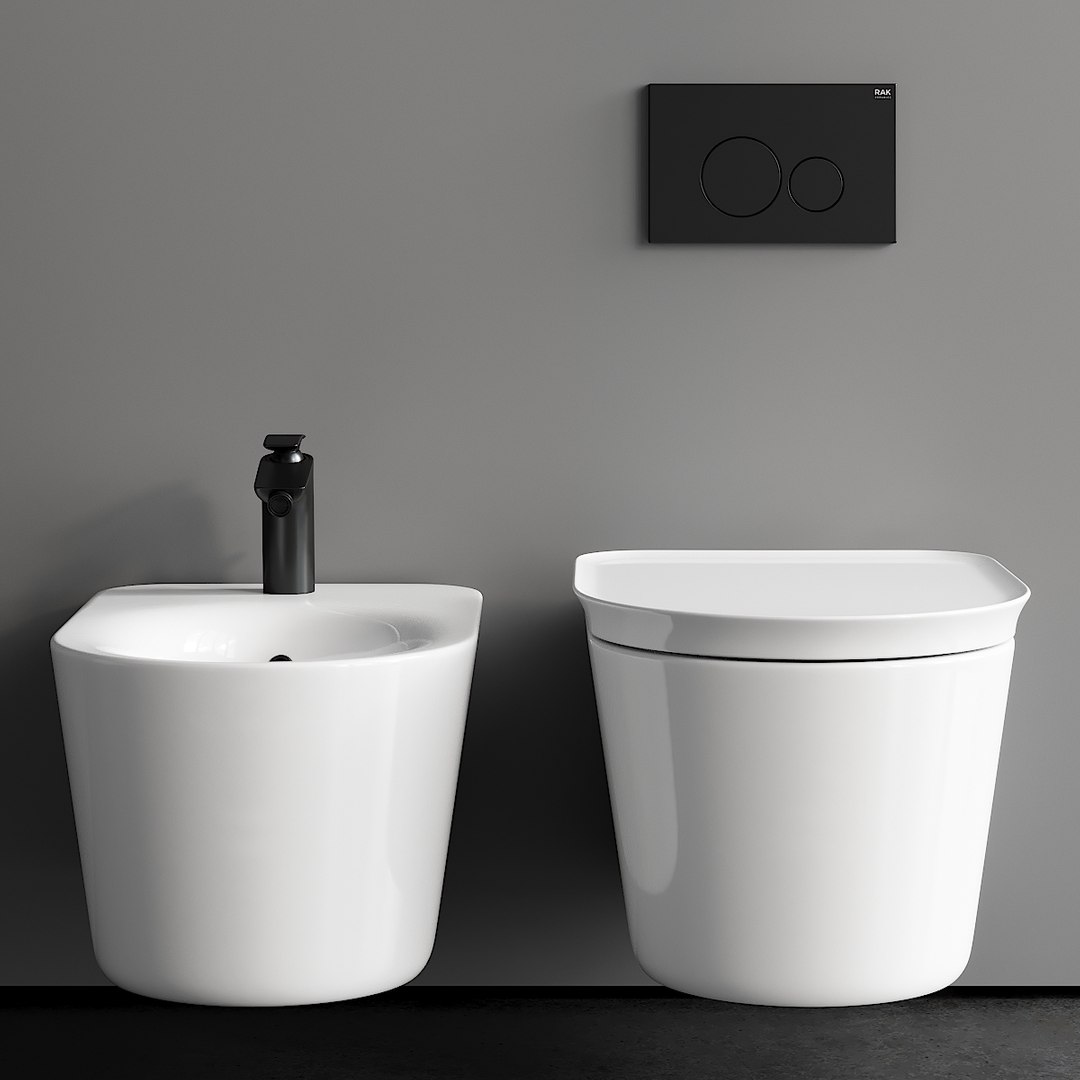 RAK Ceramics Rak-Valet Wall-Hung WC 3D Model - TurboSquid 1974412