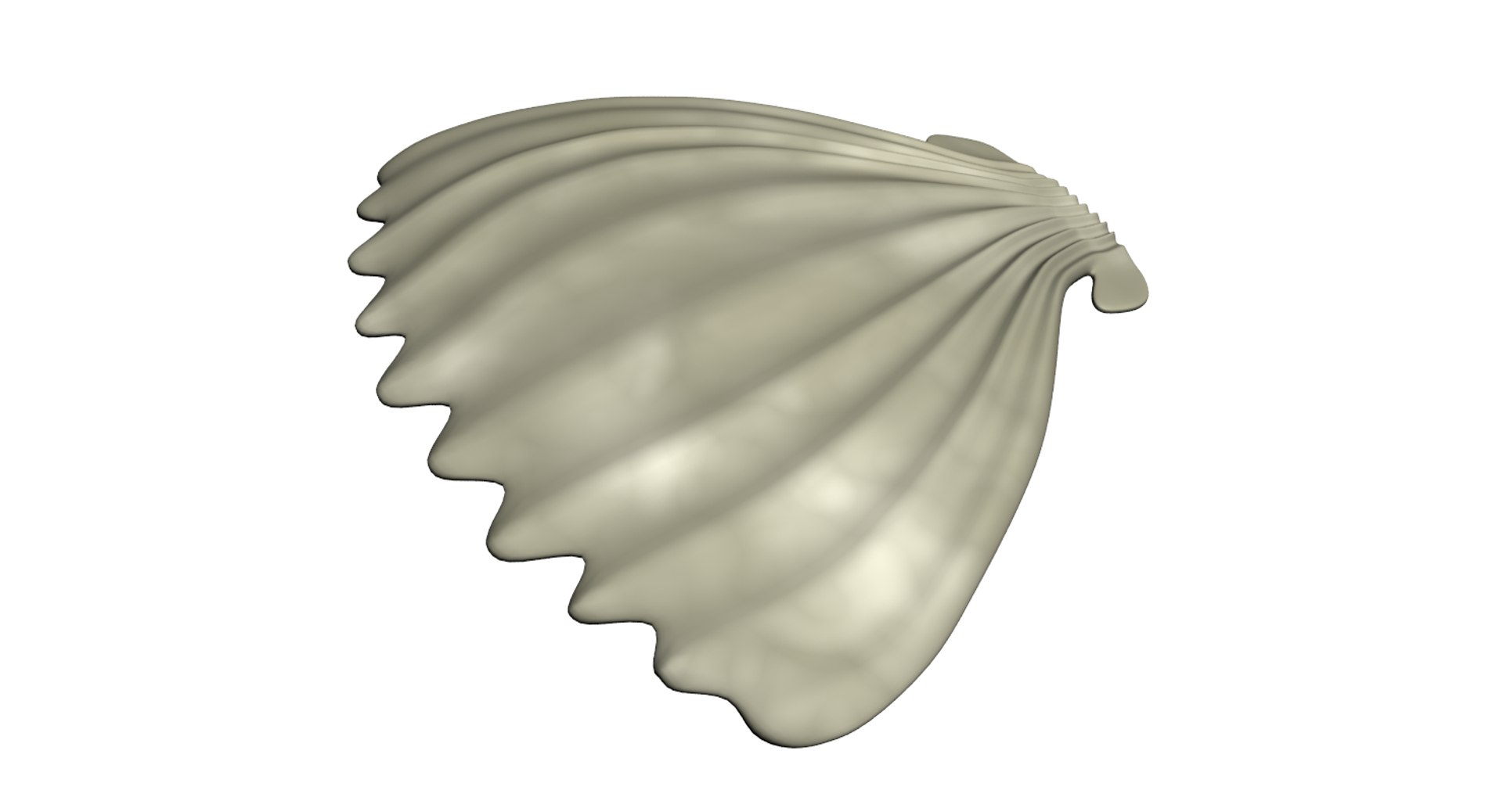 sea shell 3d max
