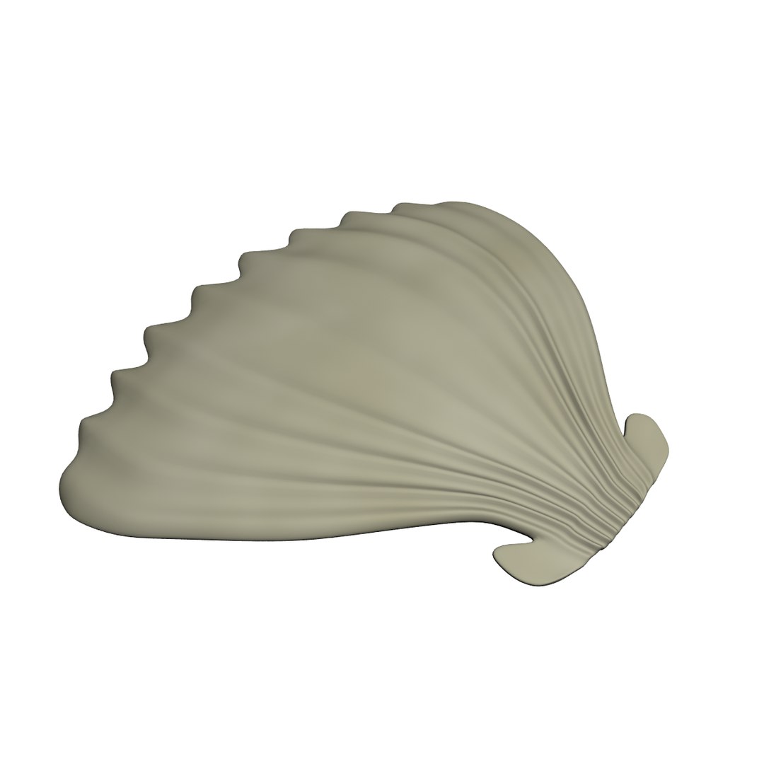 sea shell 3d max